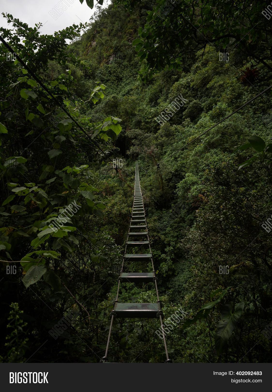 Steel Wire Rope Canopy Image & Photo (Free Trial) | Bigstock