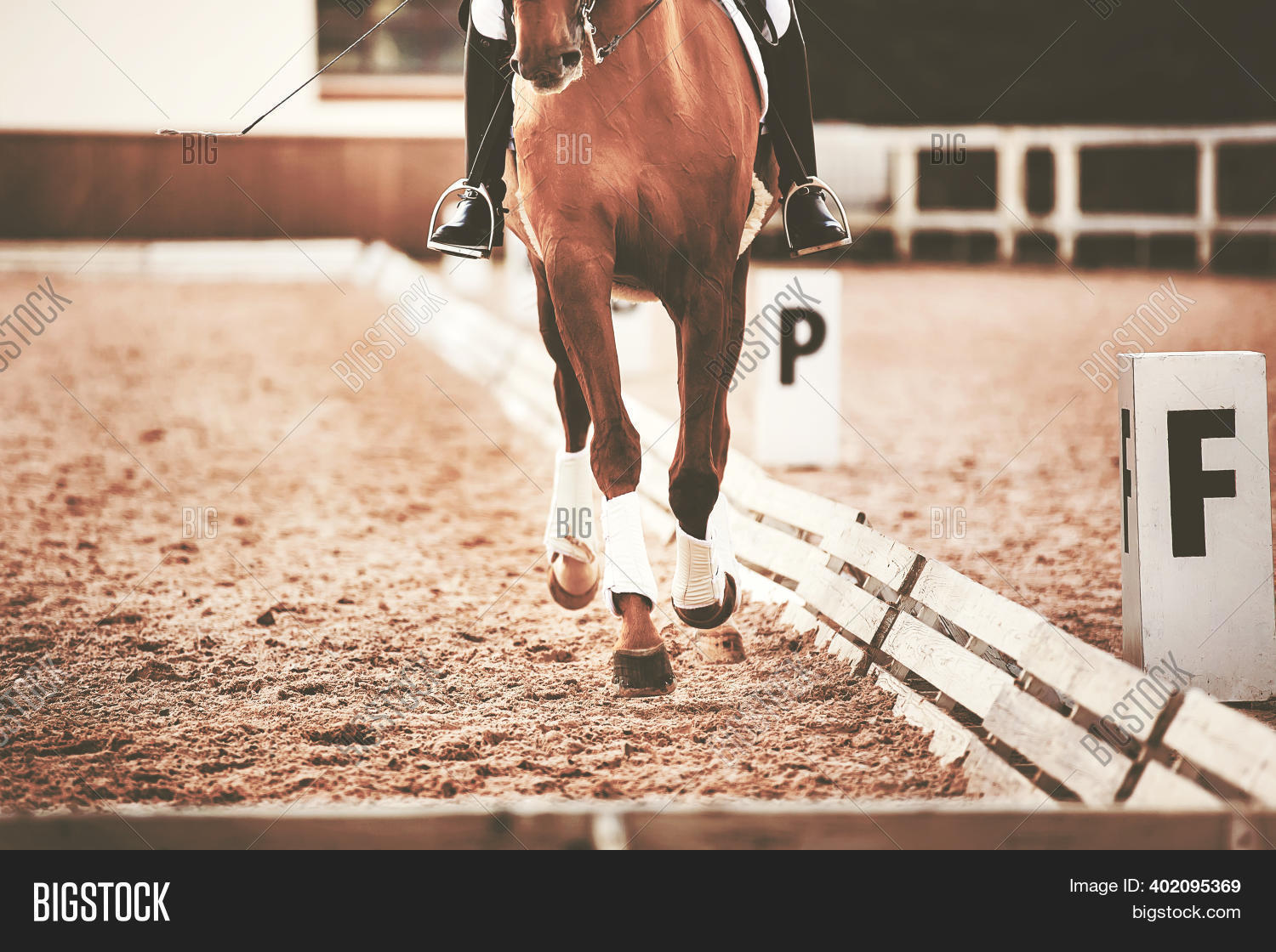 Horse Rider Training Image & Photo (Free Trial) | Bigstock