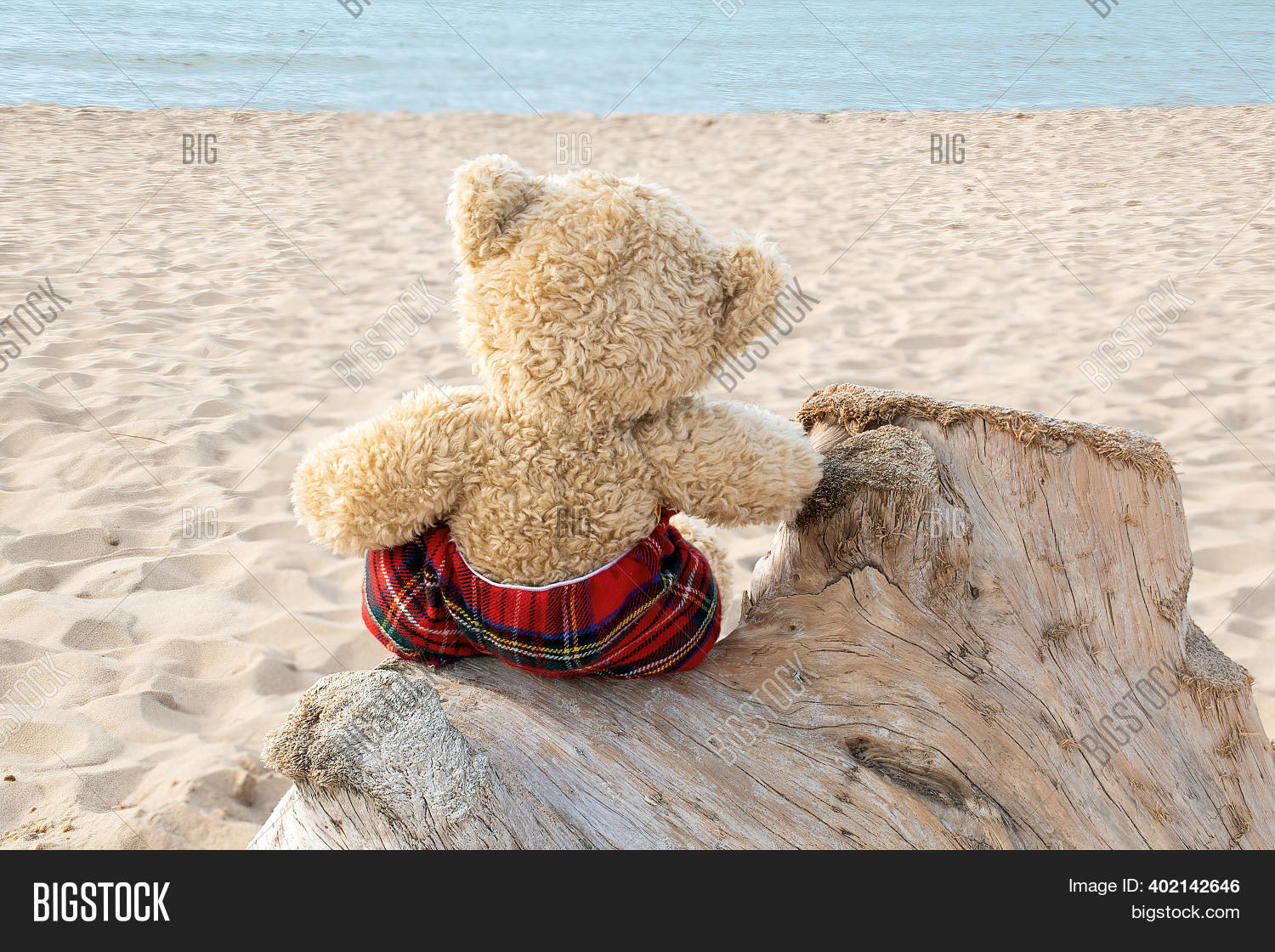 Back View Teddy Bear Image & Photo (Free Trial) | Bigstock