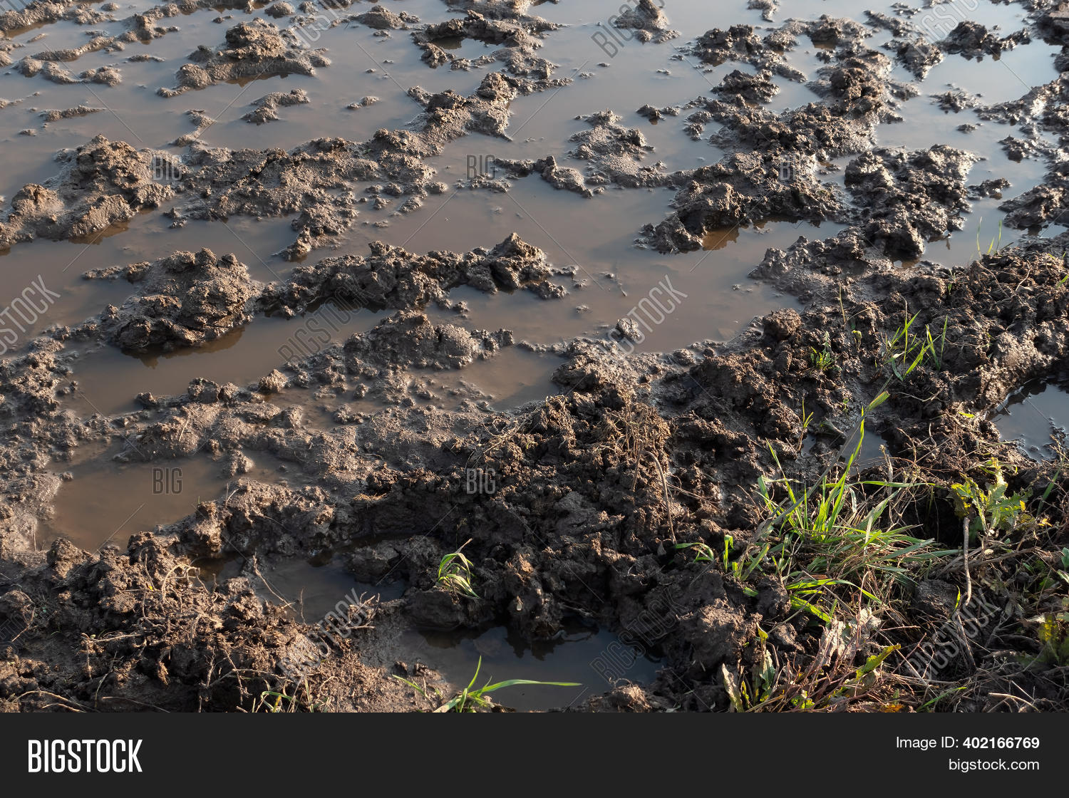 Puddles Mud First Image & Photo (Free Trial) | Bigstock