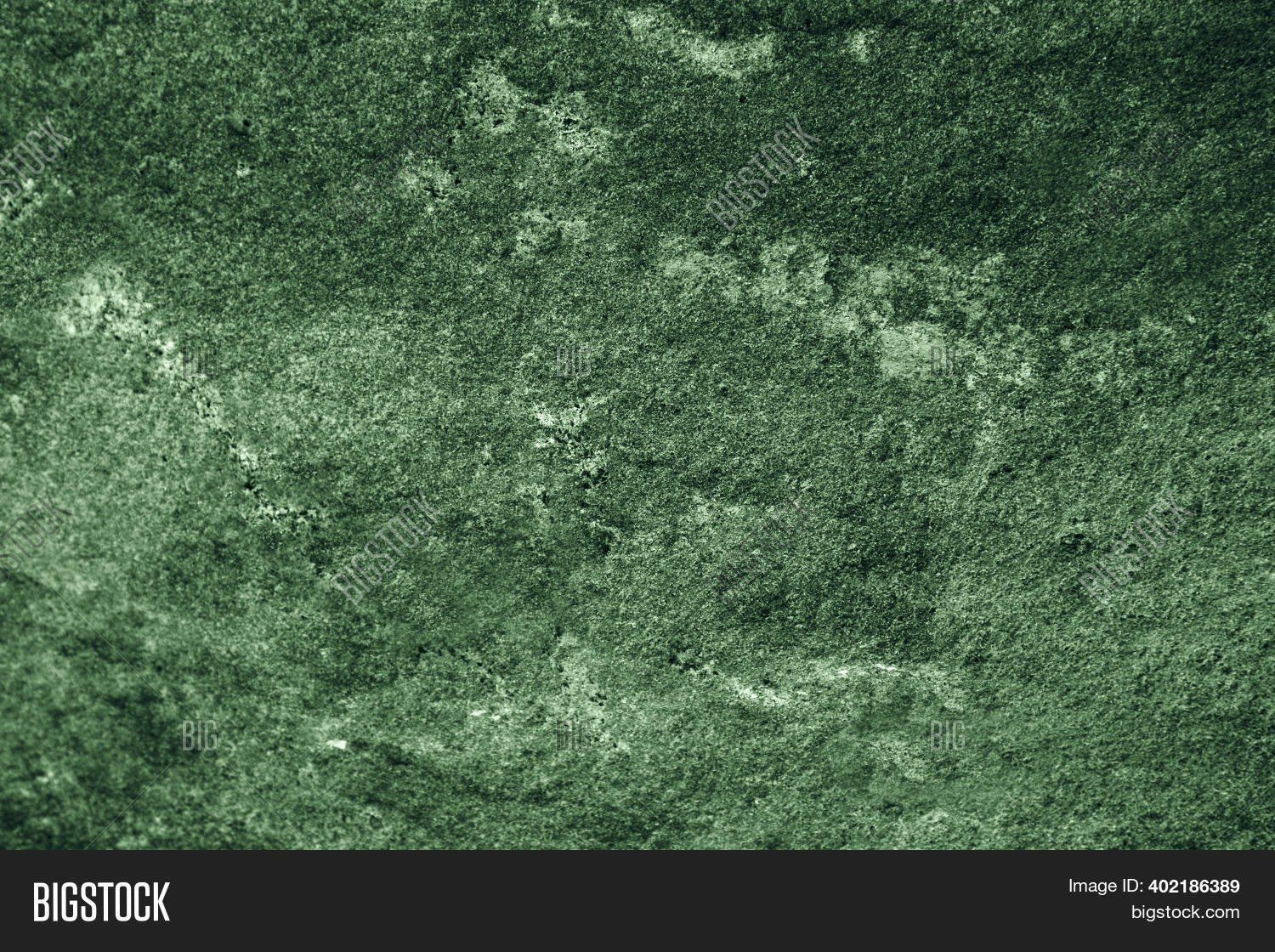 Ancient Sea Weed Image & Photo (Free Trial) | Bigstock