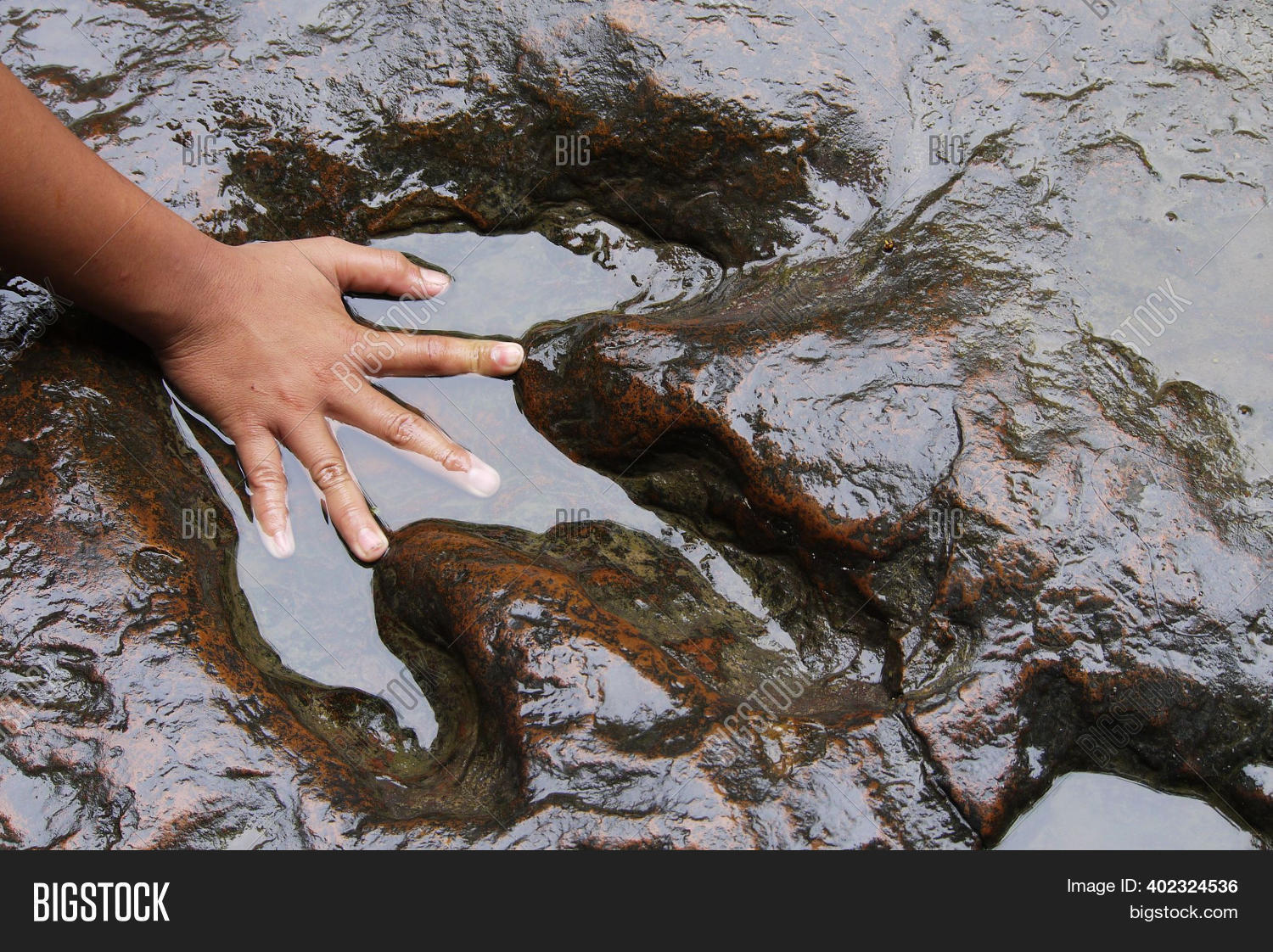 Technology Background Image & Photo (Free Trial) | Bigstock Technology Background Image & Photo (Free Trial) | Bigstock