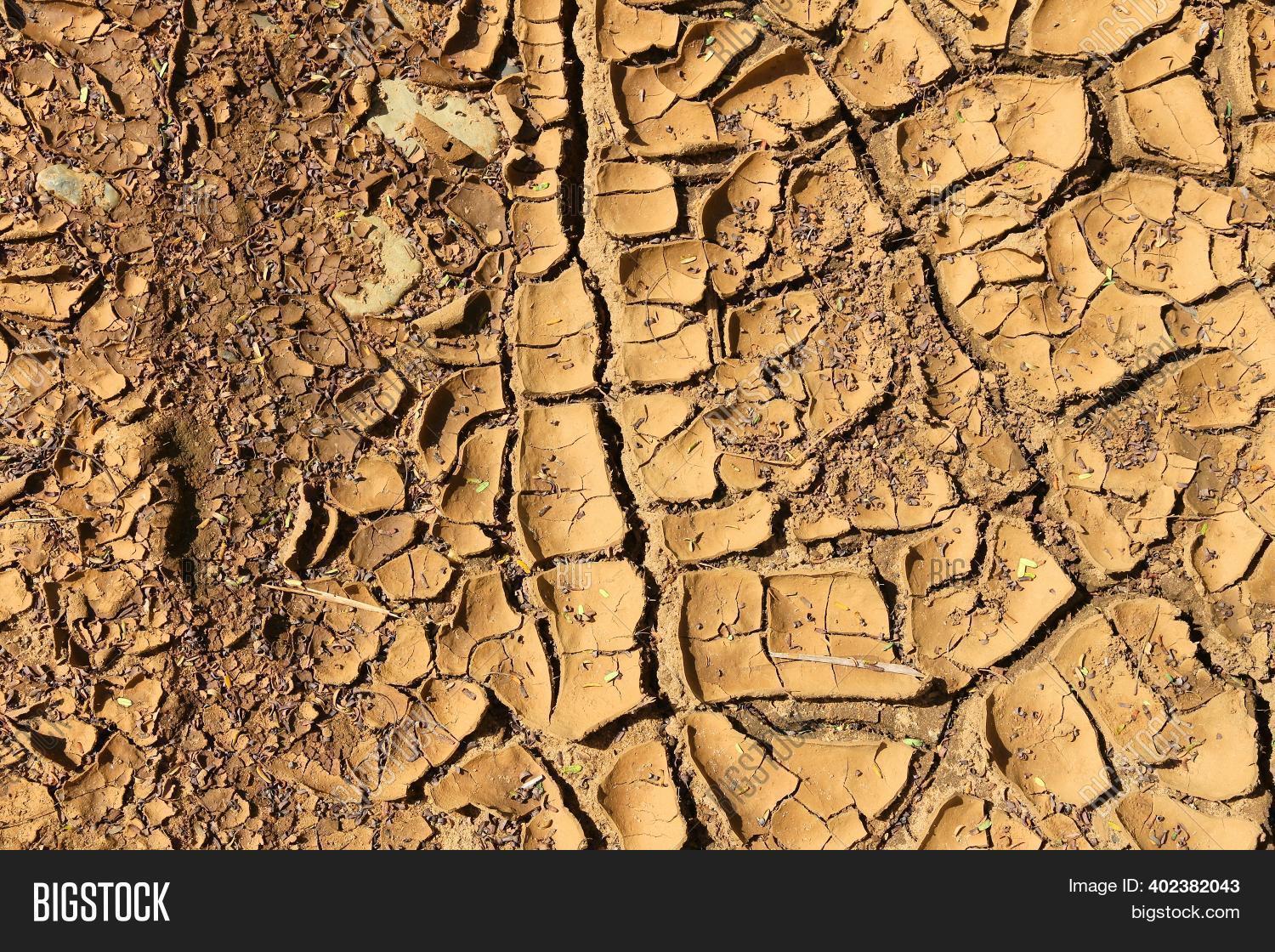 Dried Cracked Earth - Image & Photo (Free Trial) | Bigstock