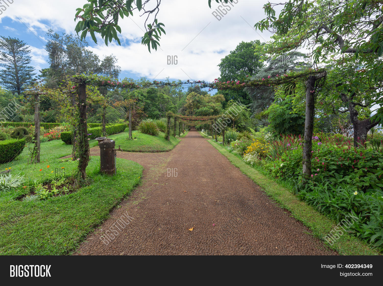 Footpath Palheiro Image & Photo (Free Trial) | Bigstock
