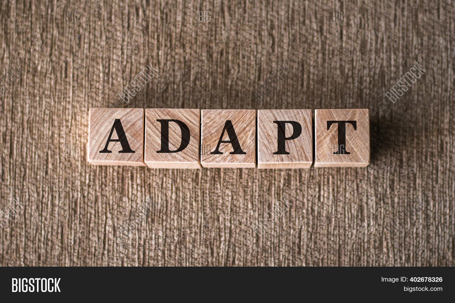 Adapt Word Written On Image & Photo (Free Trial) | Bigstock