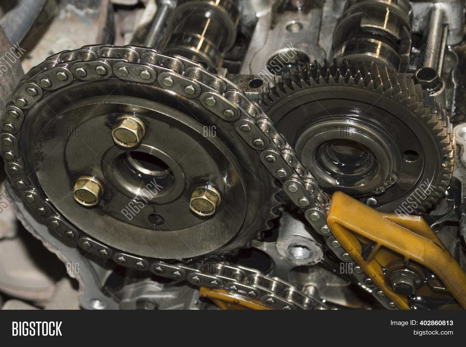 Drive Chain Timing Image & Photo (Free Trial) | Bigstock