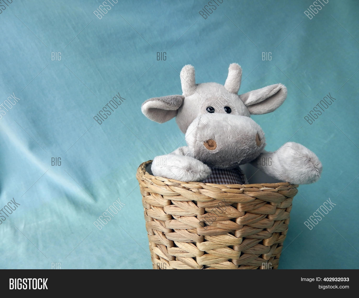 Teddy Bull Peeks Out Image & Photo (Free Trial) | Bigstock