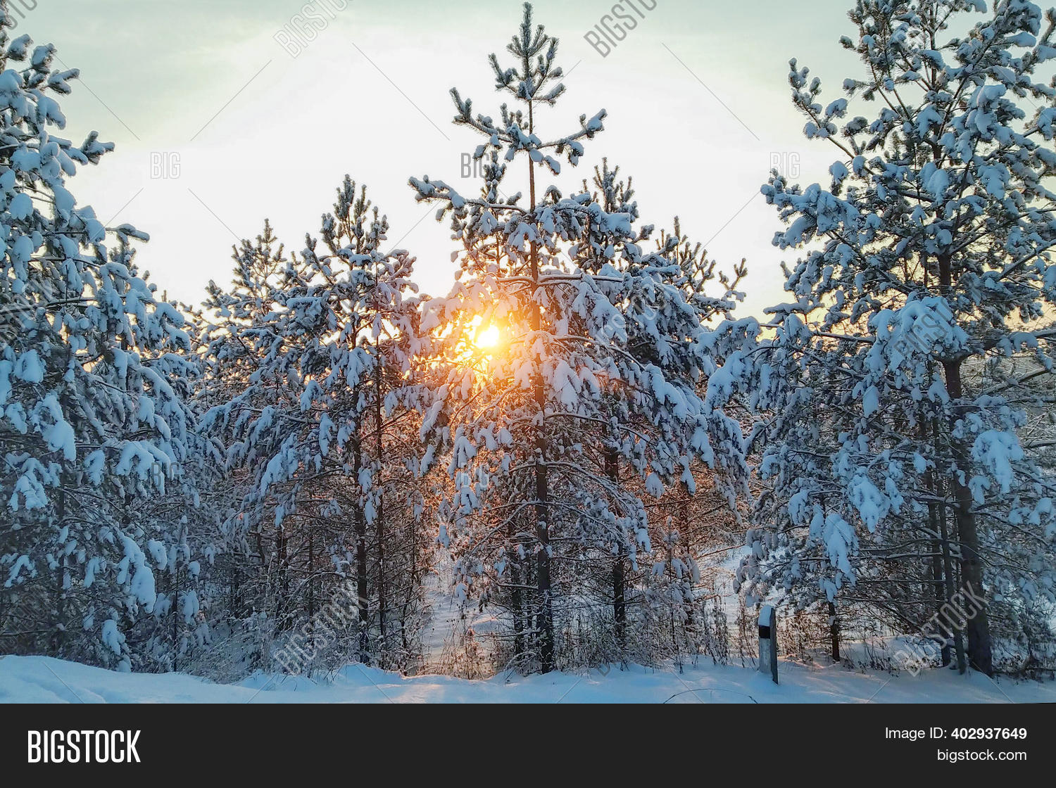 Sunlight Shines Image & Photo (Free Trial) | Bigstock