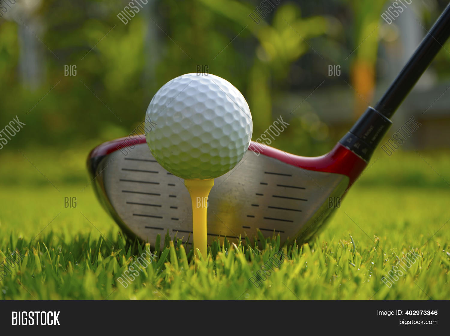 Golf Ball Golf Club Image & Photo (Free Trial) | Bigstock
