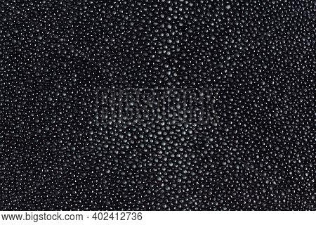 Shark Skin Texture Images, Illustrations & Vectors (Free) - Bigstock
