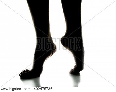 Silhouette Two Women's Image & Photo (Free Trial) | Bigstock