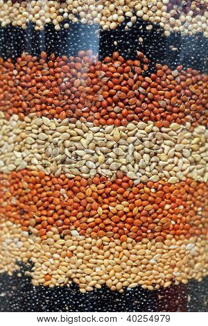 Bajra Images, Illustrations & Vectors (Free) - Bigstock