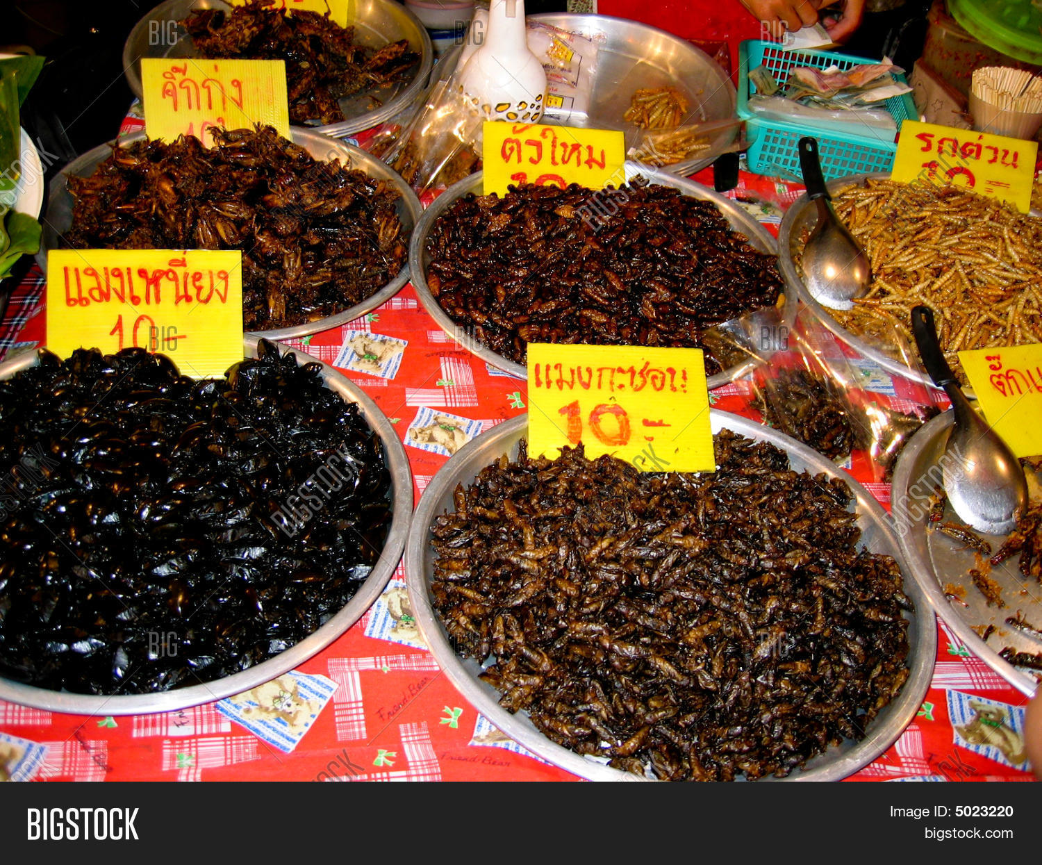 Grilled Insects Dinner Image & Photo (Free Trial) | Bigstock