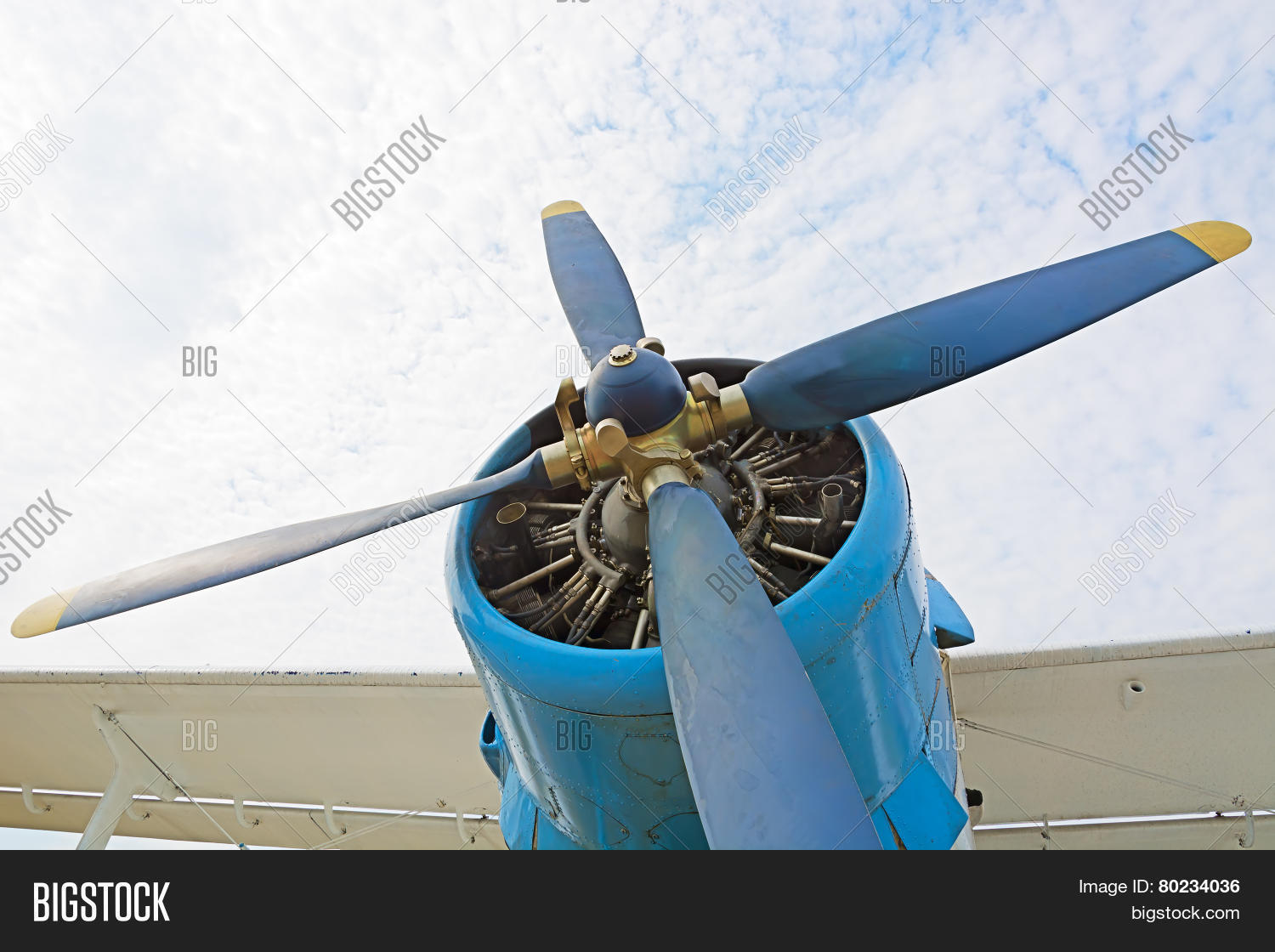 Engine Propeller Plane Image & Photo (Free Trial) | Bigstock