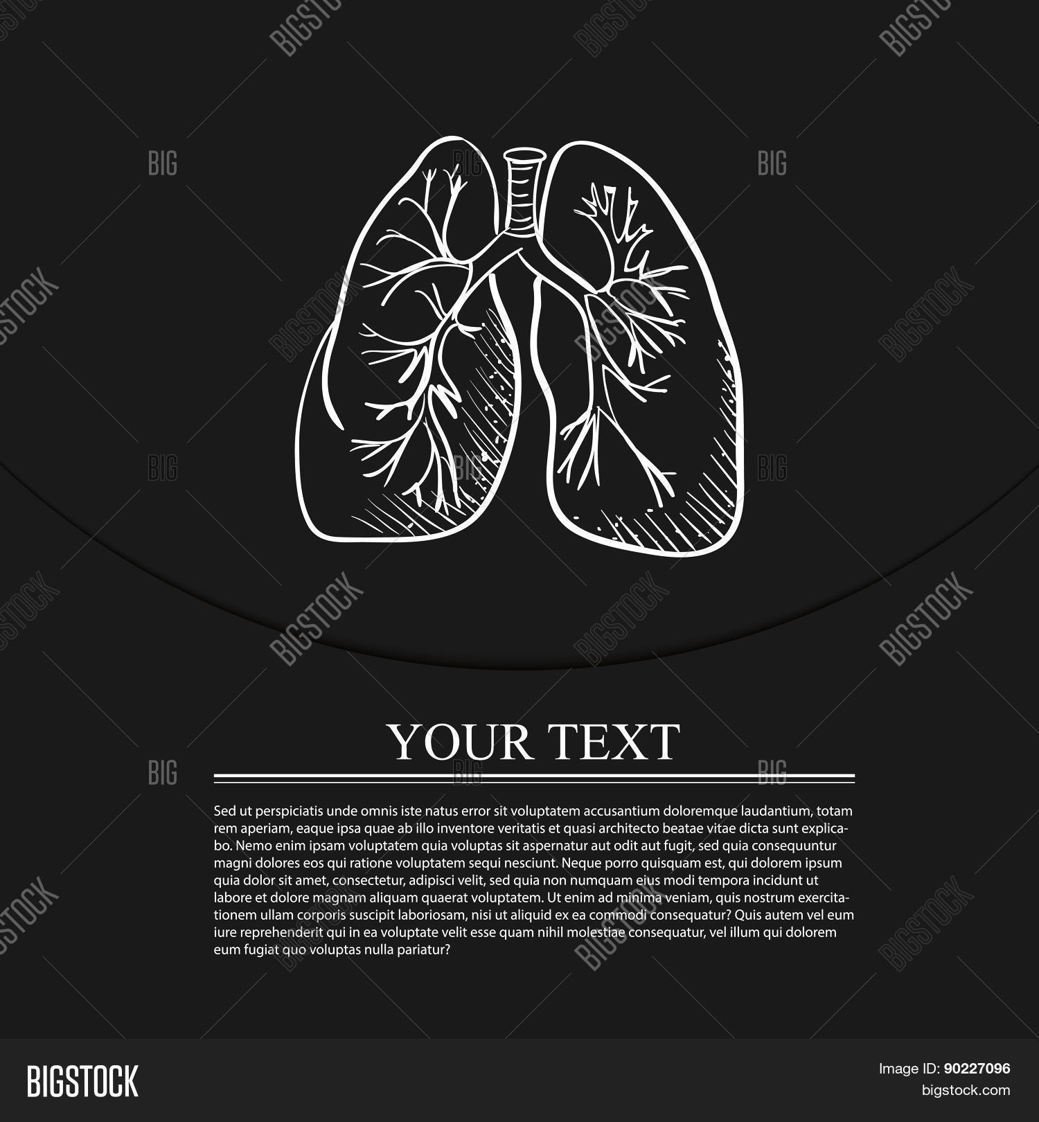 Lungs Doodle Drawing Vector & Photo (Free Trial) | Bigstock