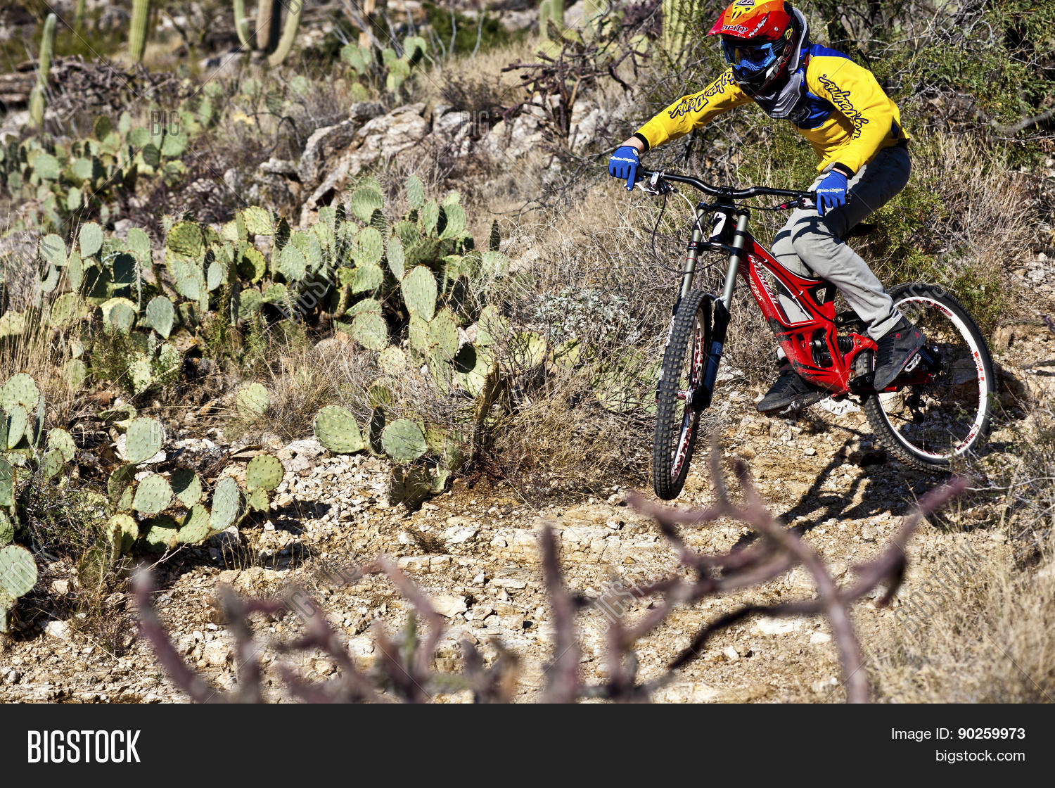 Downhill Bike Rider Image & Photo (Free Trial) | Bigstock