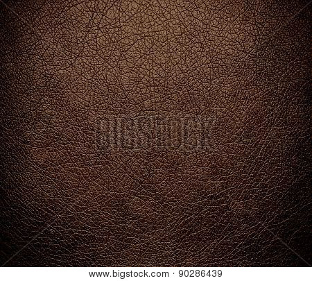 Coffee Color Leather Image & Photo (Free Trial) | Bigstock