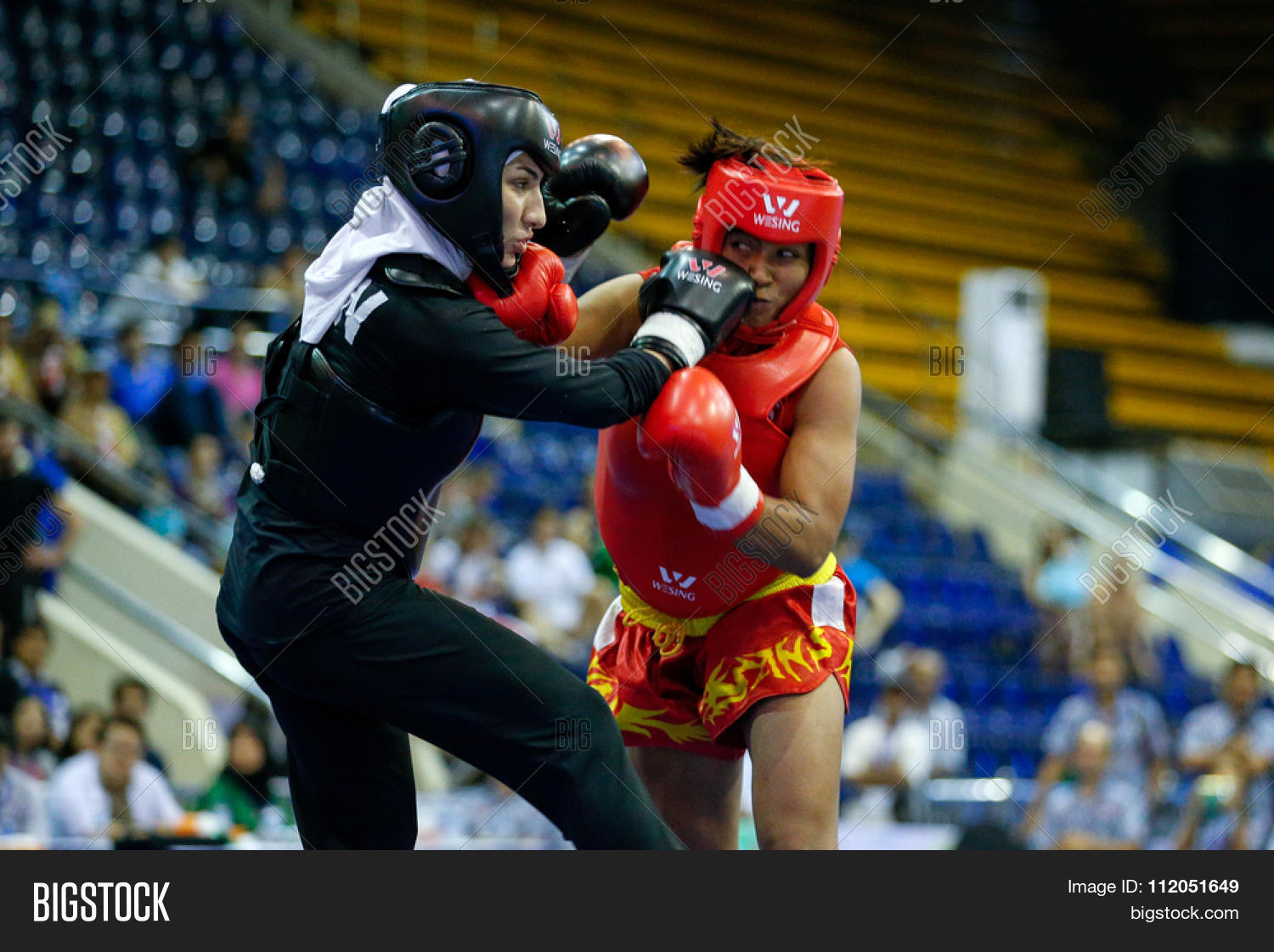 Wushu Sanda Wallpaper