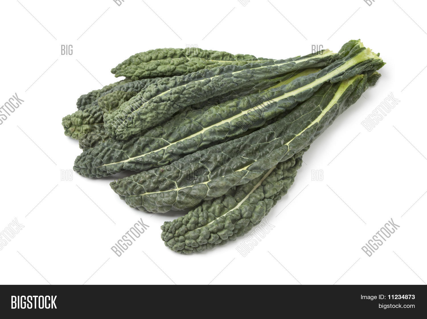Fresh Cavolo Nero Image & Photo (Free Trial) | Bigstock