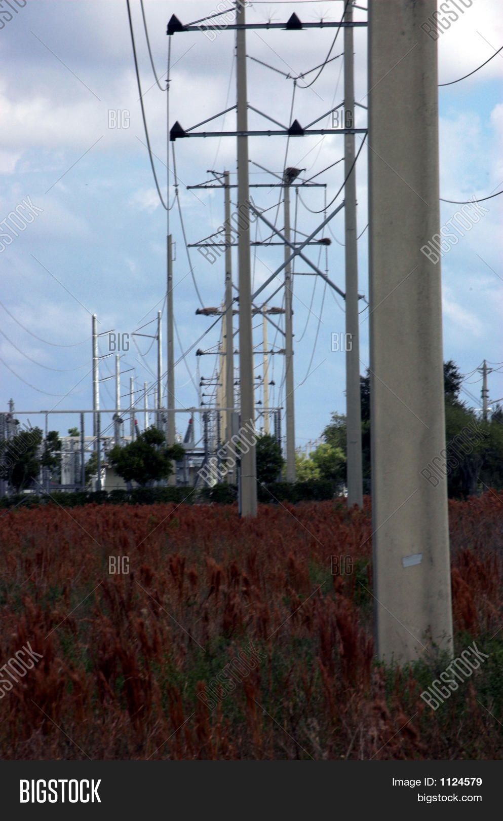 Powerline Towers Image & Photo (Free Trial) | Bigstock