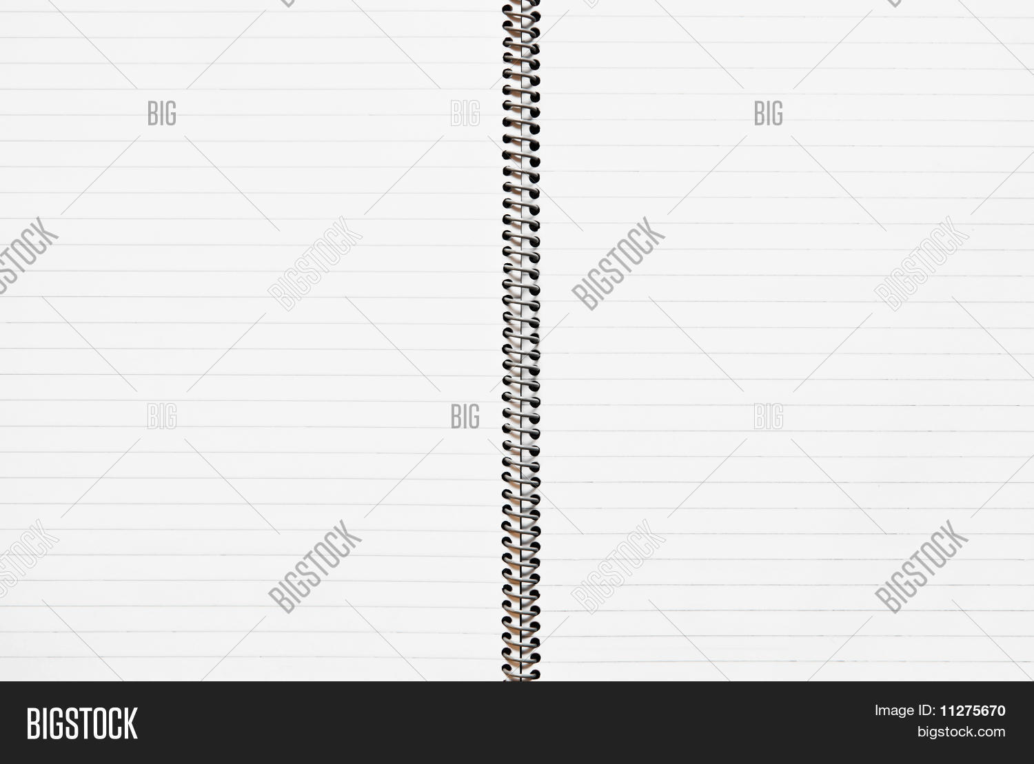 Blank Grid Line Paper Image & Photo (Free Trial) | Bigstock