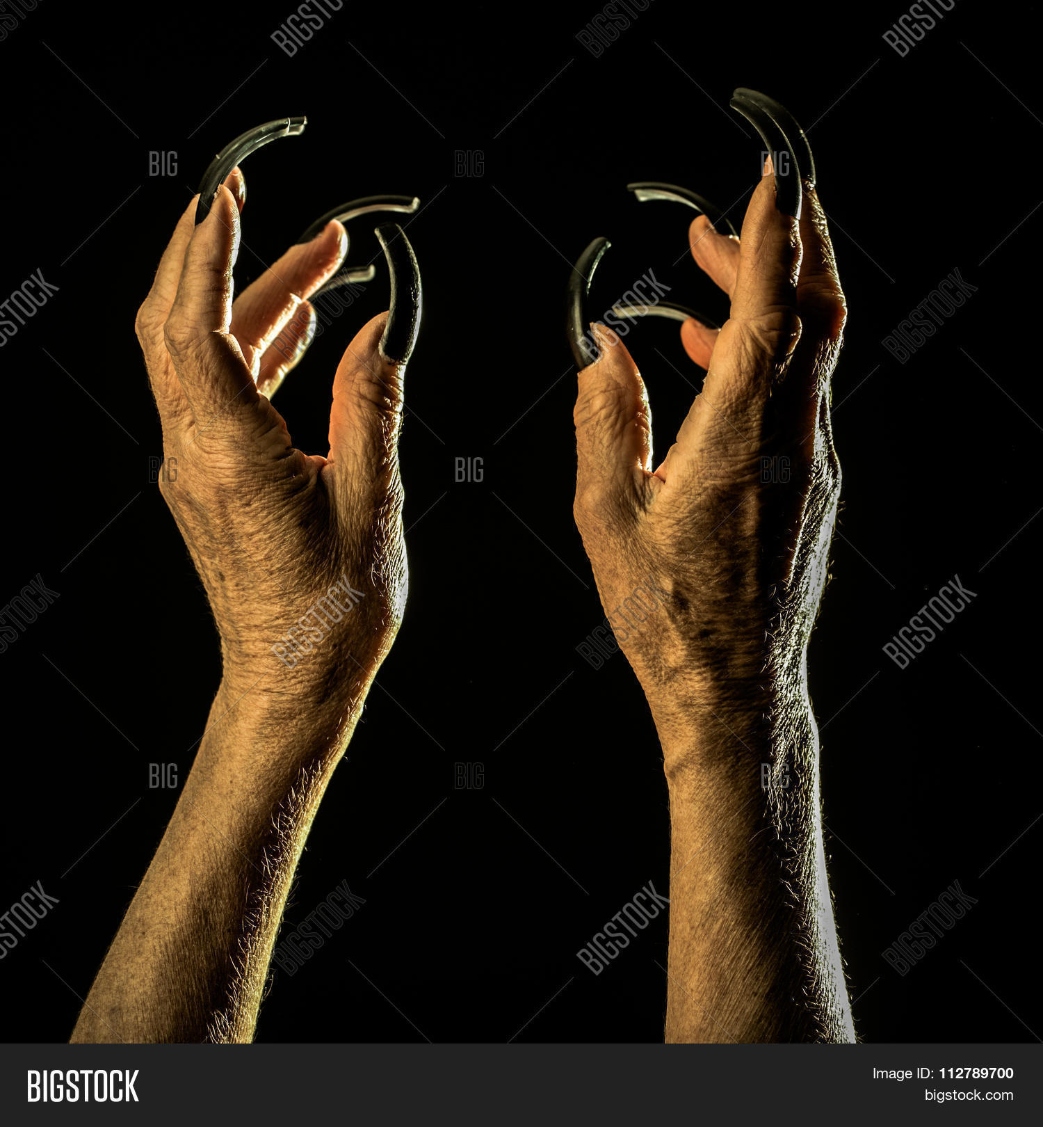 Old Female Hands Long Image & Photo (Free Trial) | Bigstock