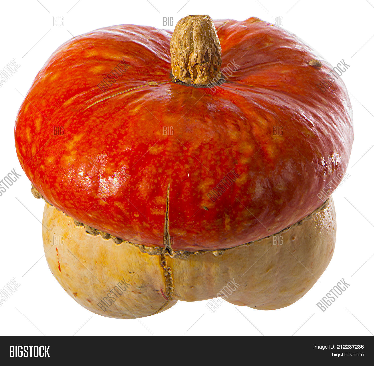 Pumplin On White Image & Photo (Free Trial) | Bigstock