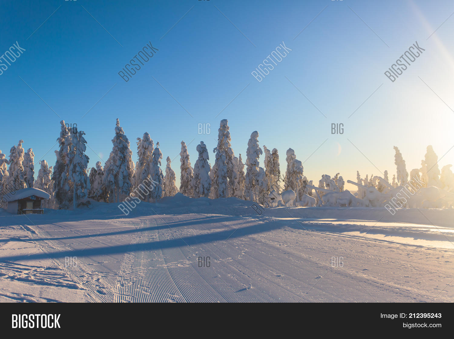Beautiful Cold Image & Photo (Free Trial) | Bigstock