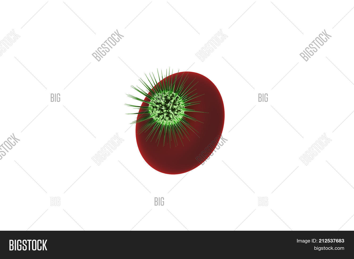 3D Red Blood Cell Image & Photo (Free Trial) | Bigstock