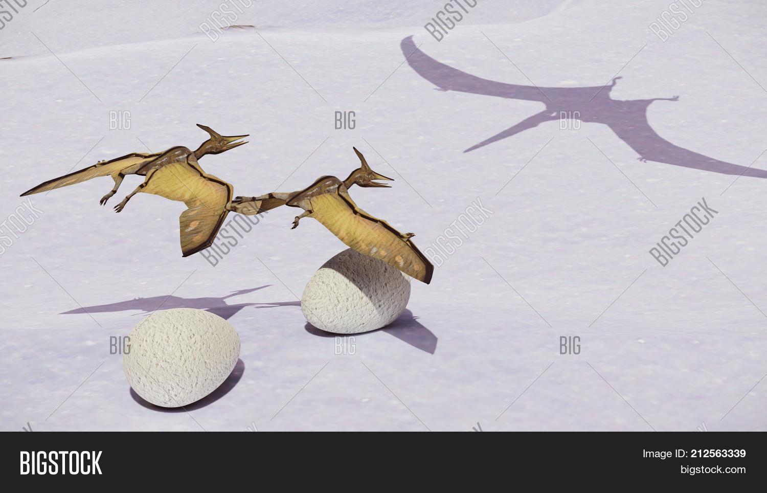 Egg Pterodactyl 3d Image & Photo (Free Trial) | Bigstock