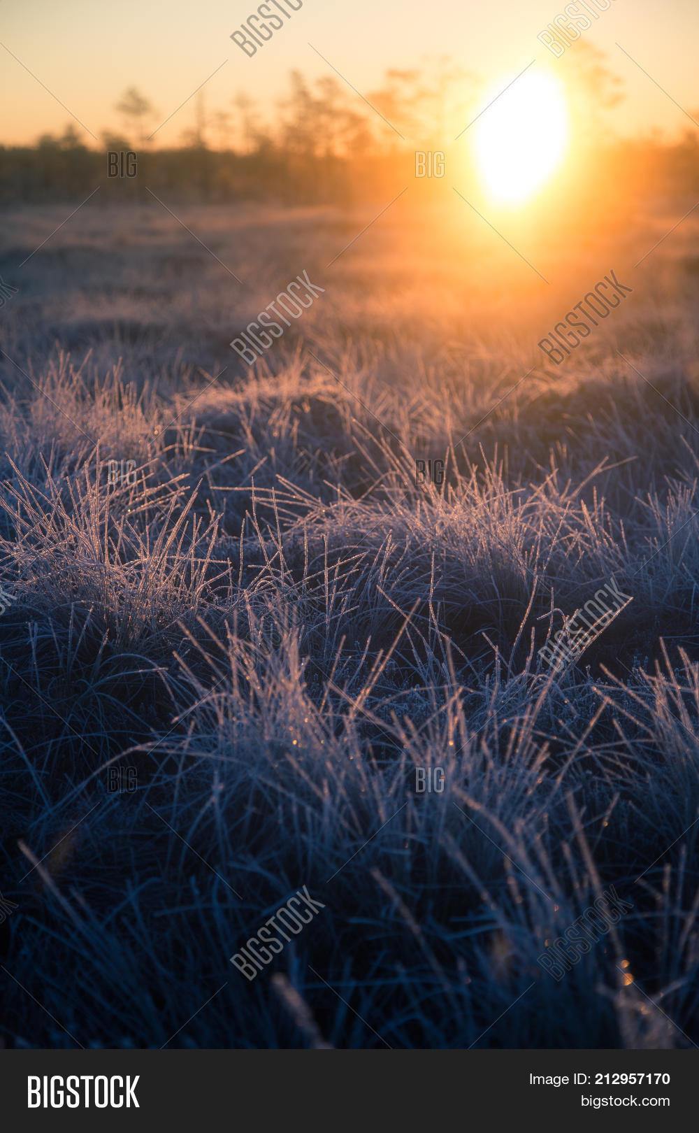Beautiful Morning Scenery