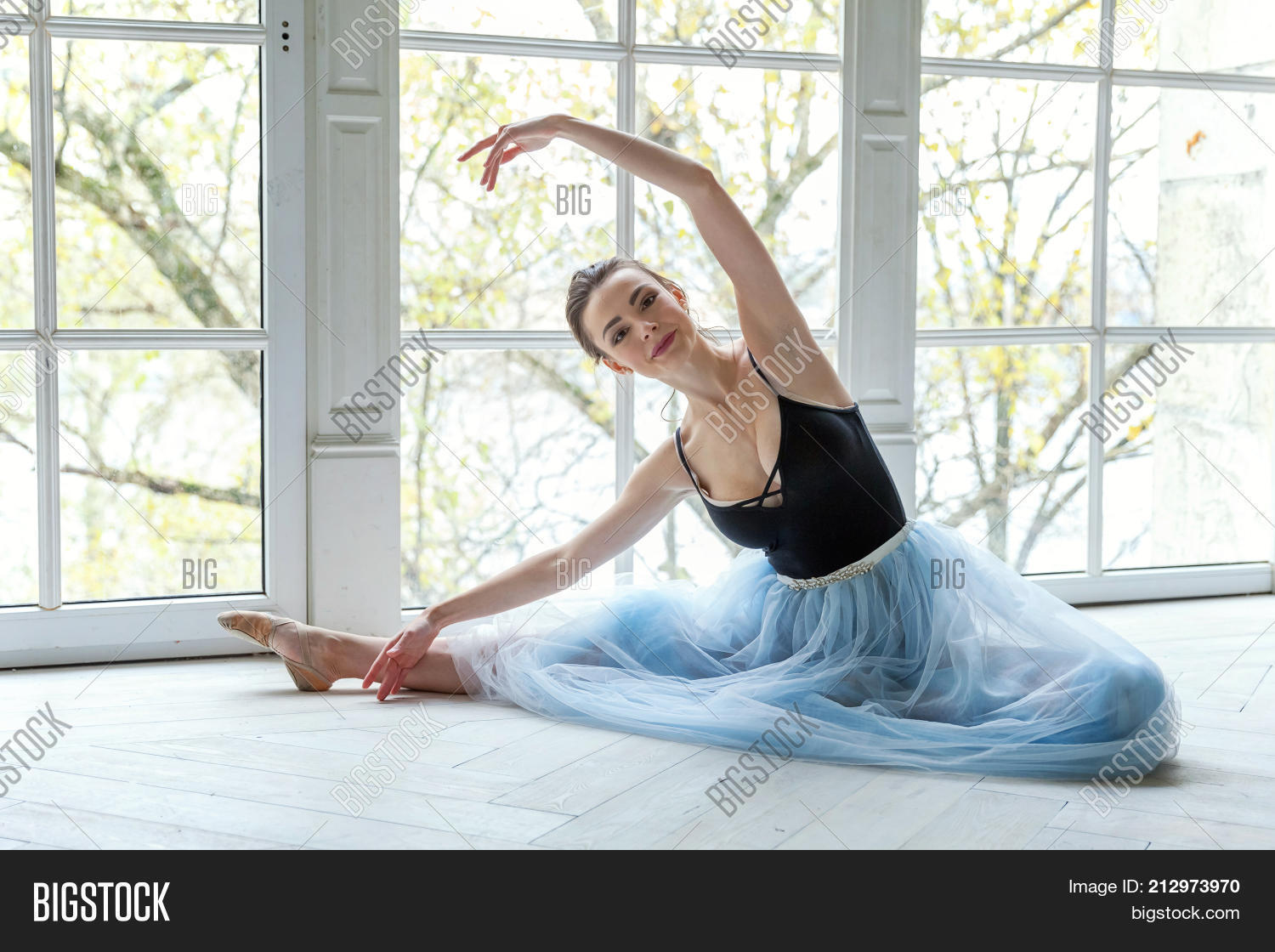 Ballerina Blue Ballet Image & Photo (Free Trial) | Bigstock