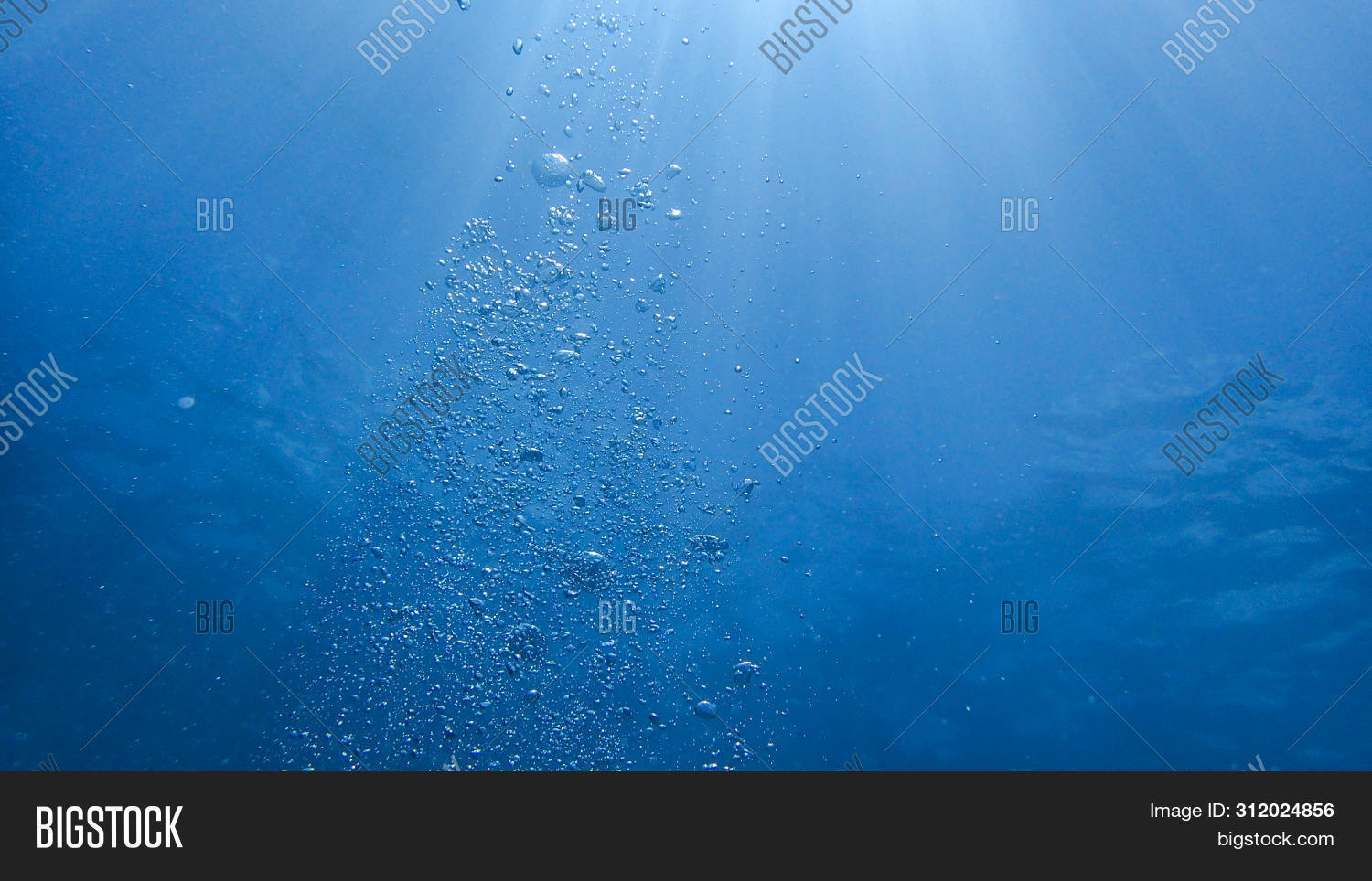 Scuba Divers Bubbles Image & Photo (Free Trial) | Bigstock