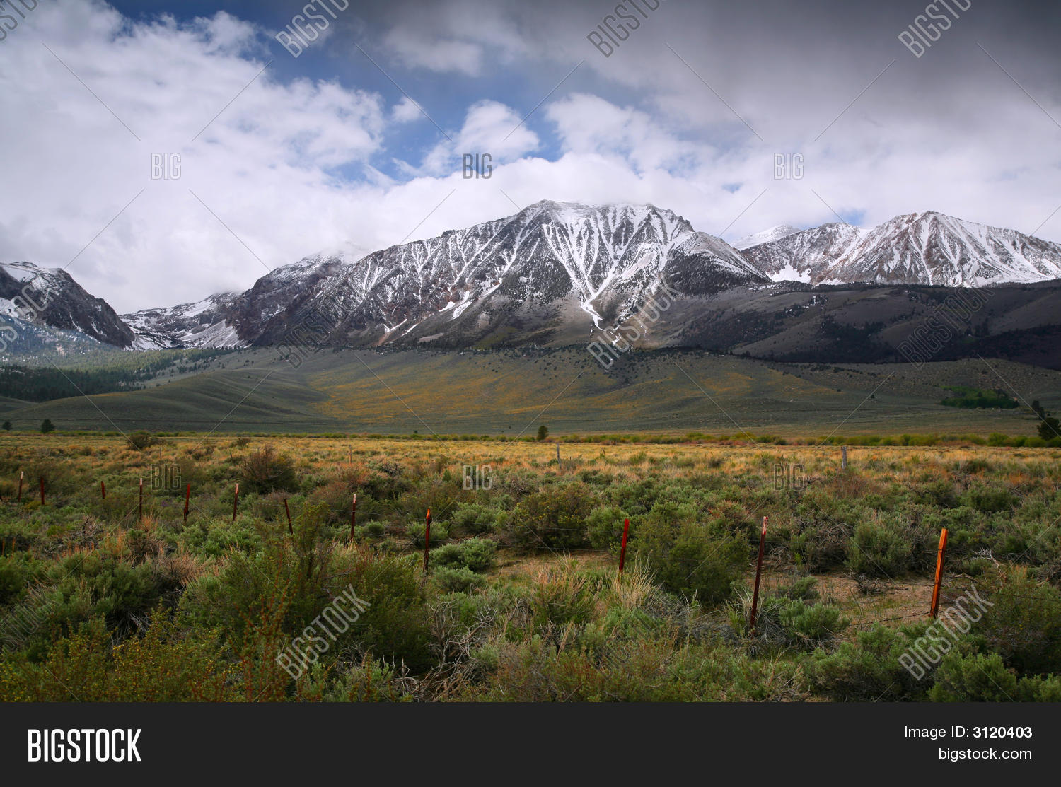 Dramatic Spring Image & Photo (Free Trial) | Bigstock