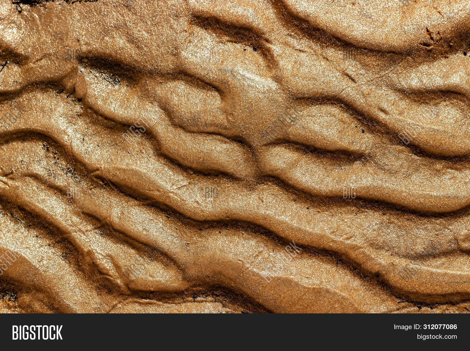 Top View Texture Sand Image & Photo (Free Trial) | Bigstock