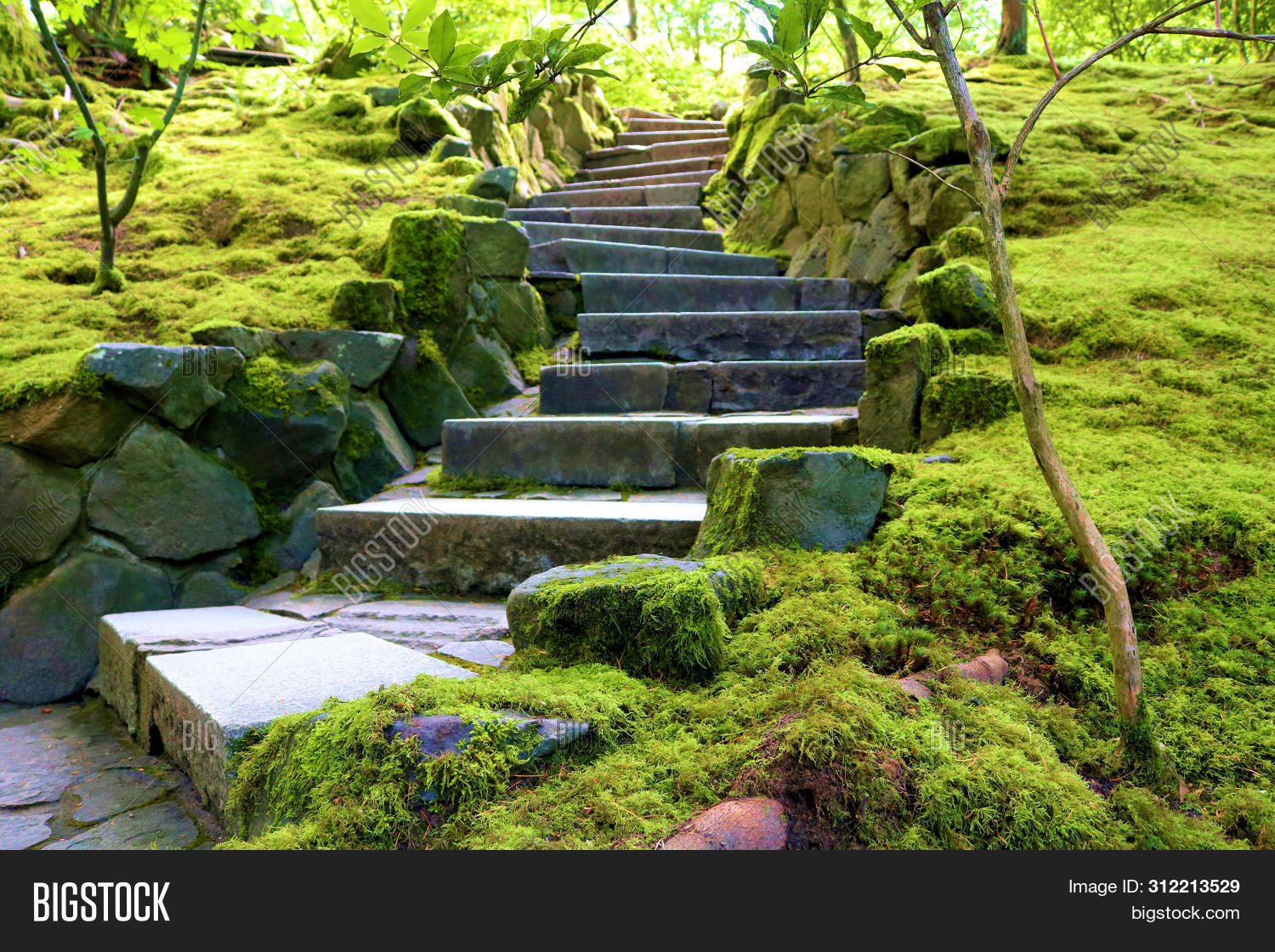 Pathway Outdoor Steps Image & Photo (Free Trial) | Bigstock