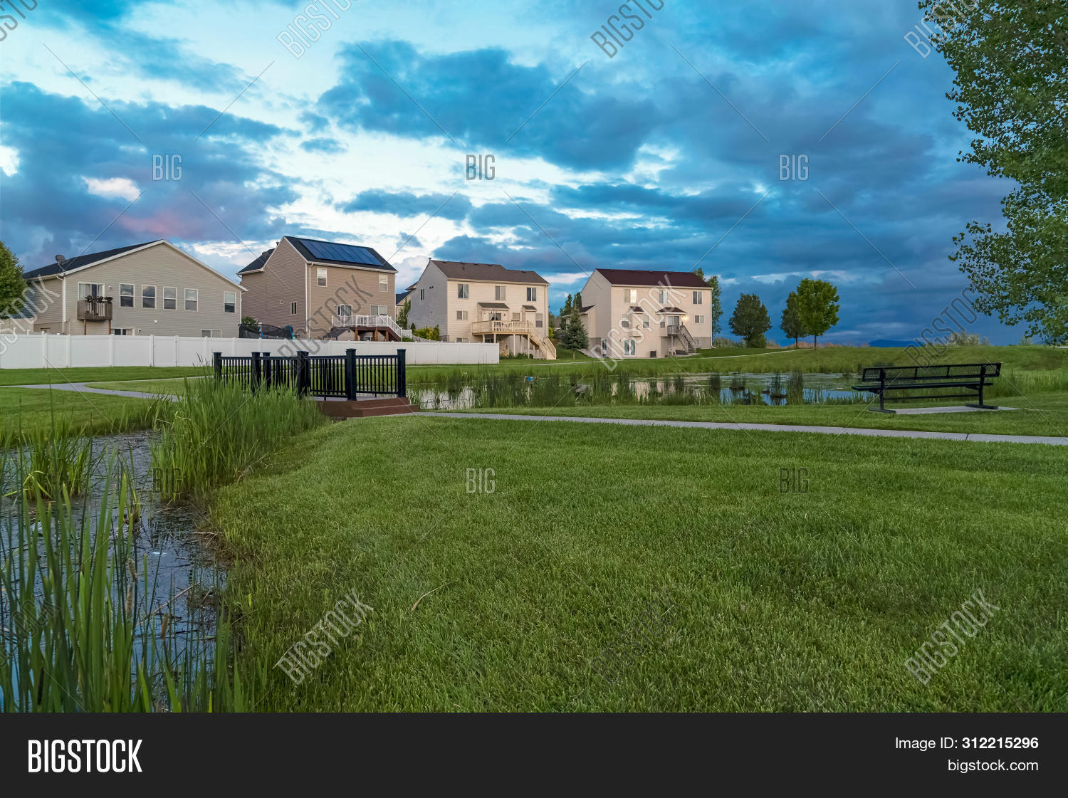 Grassy Park Pond Image & Photo (Free Trial) | Bigstock