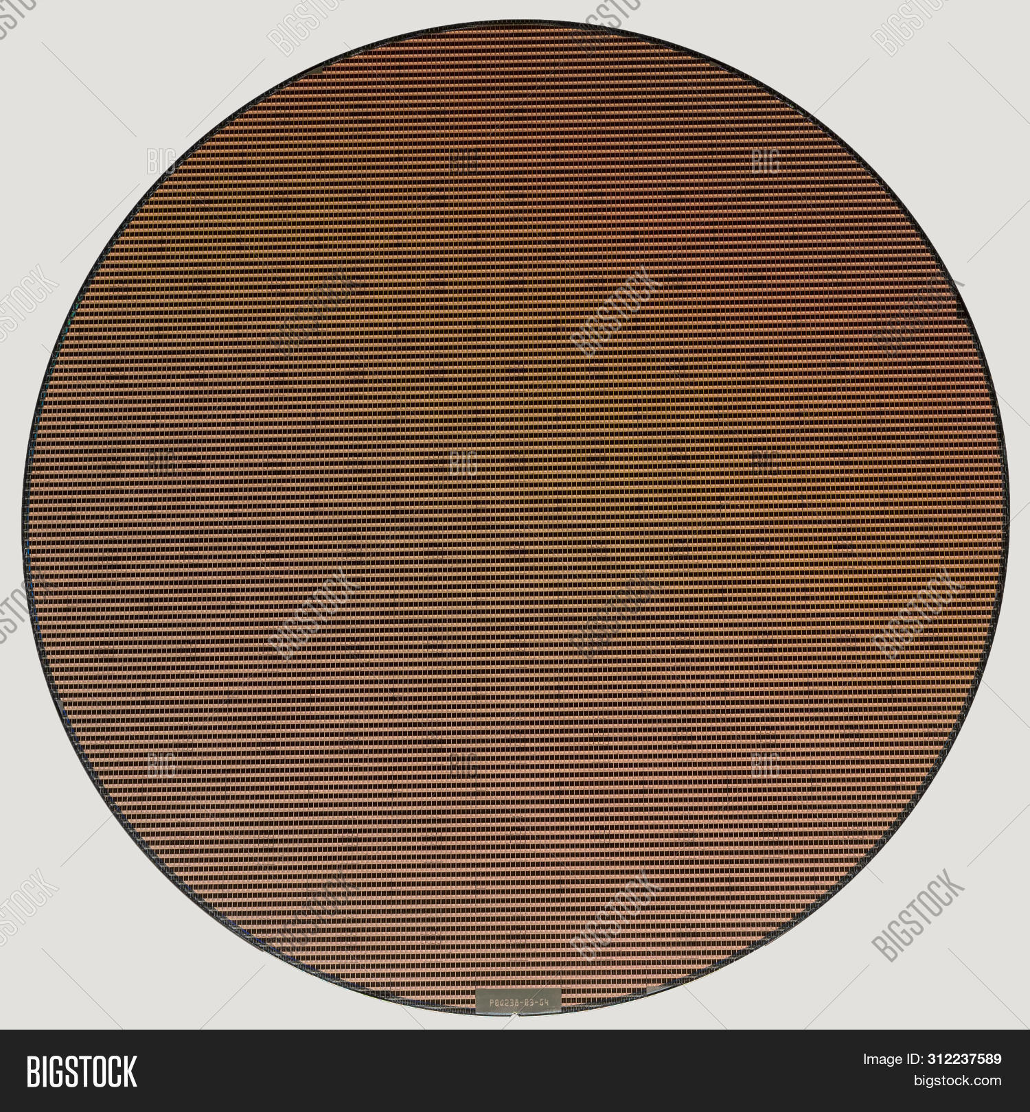 Frontal Shot Wafer Image & Photo (Free Trial) | Bigstock