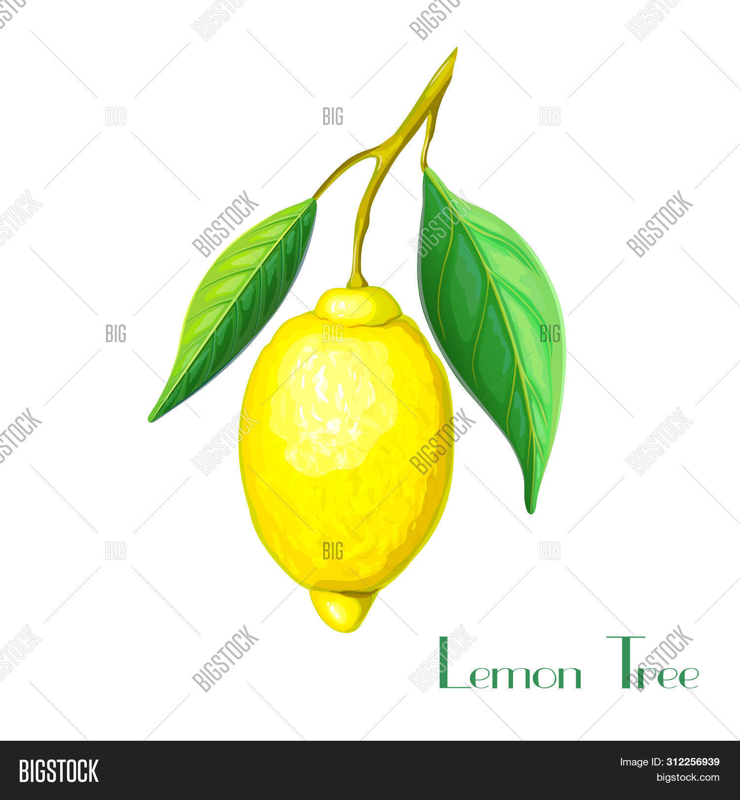 Realistic Lemon Tree Image & Photo (Free Trial) | Bigstock