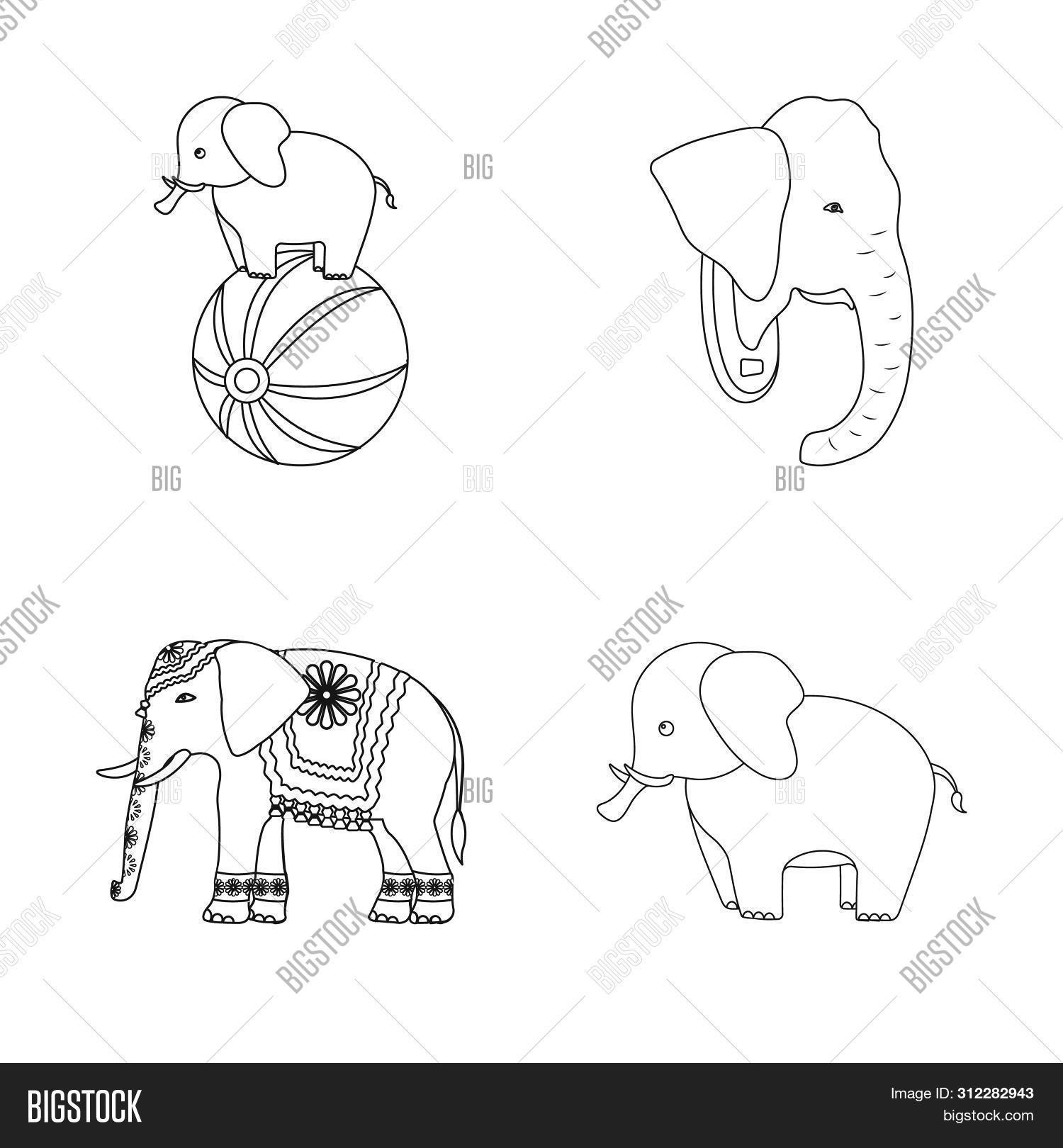 Bitmap Design Elephant Image & Photo (Free Trial) | Bigstock