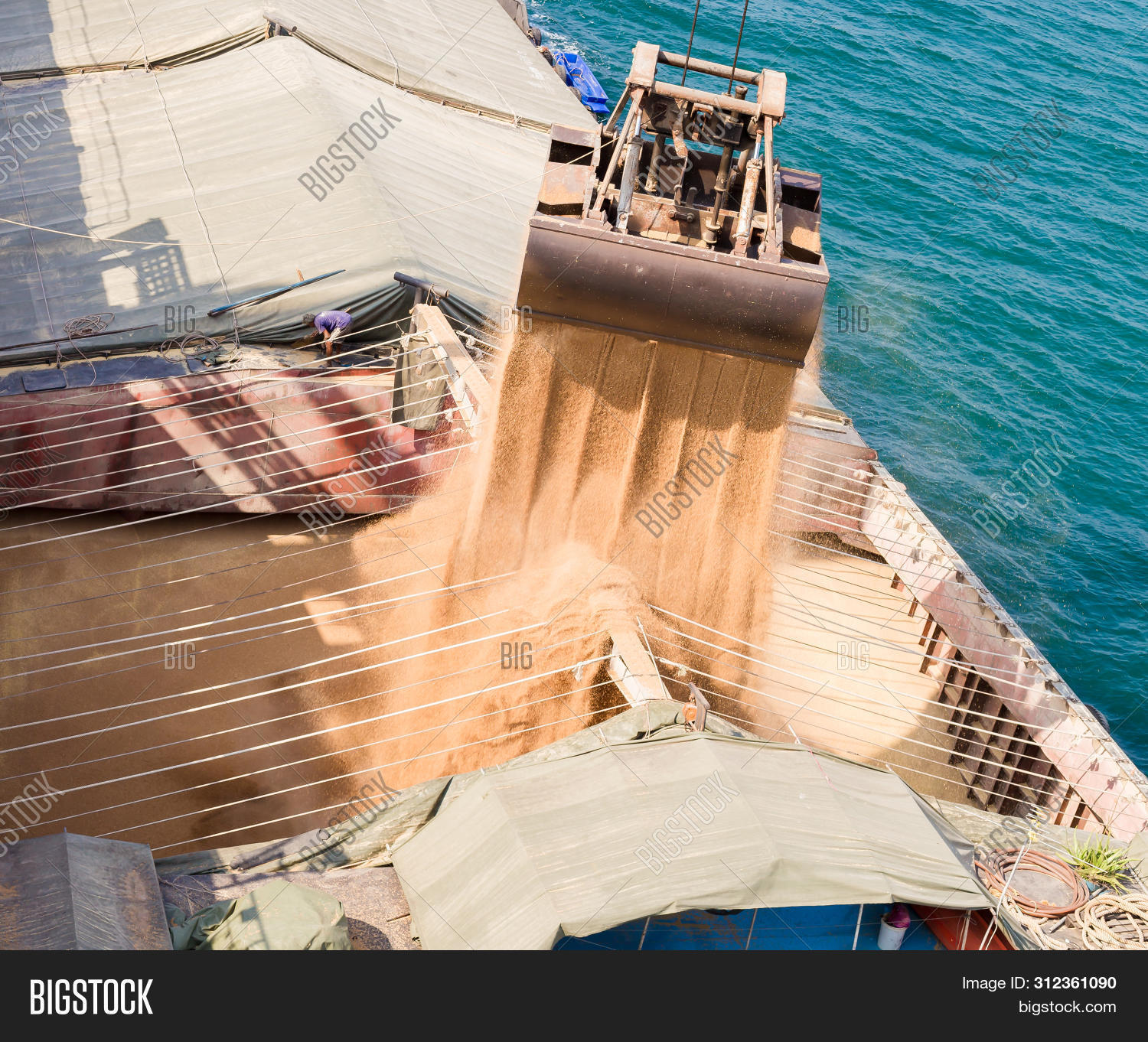 Loading Wheat On Cargo Image & Photo (Free Trial) | Bigstock
