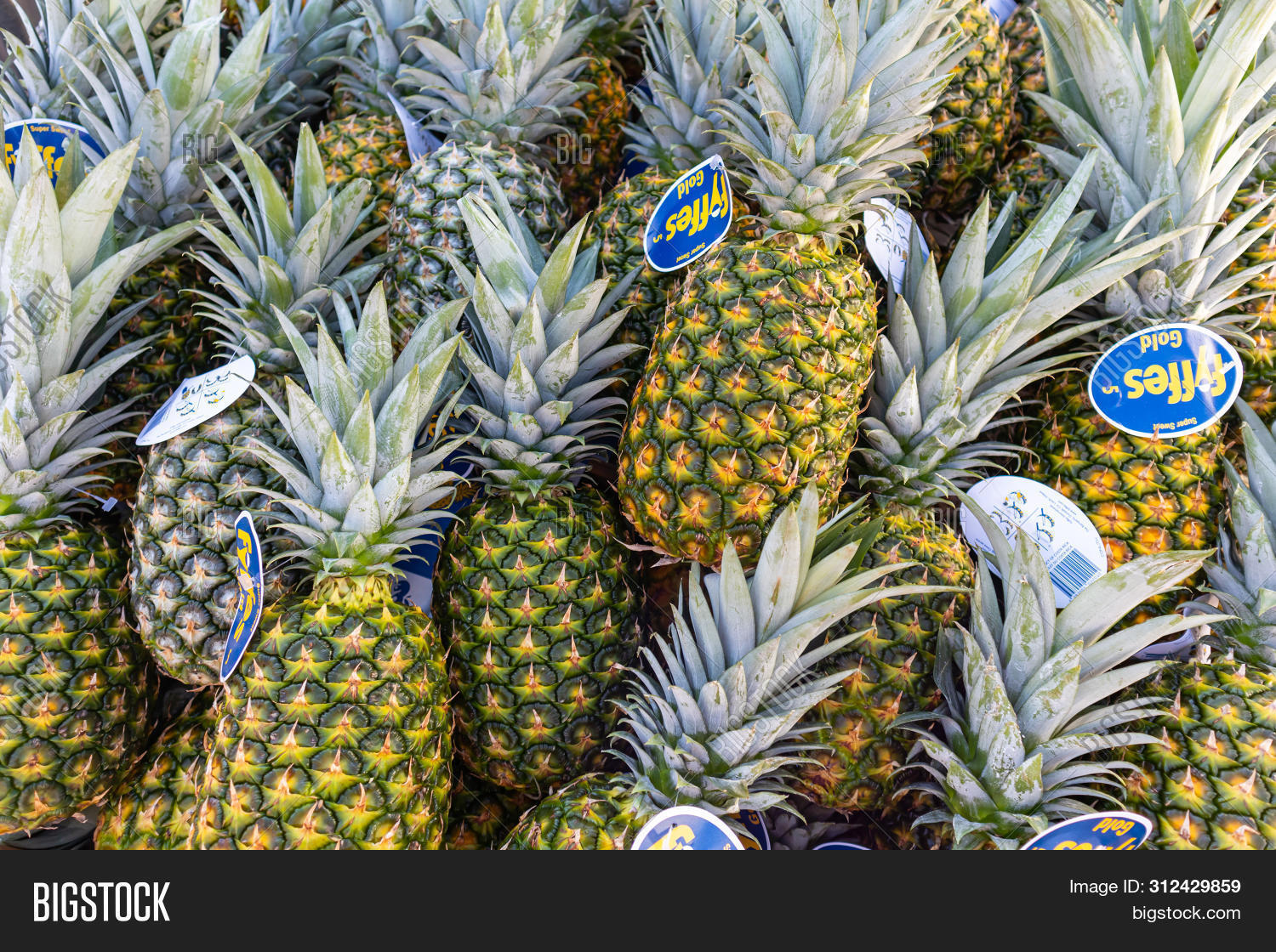 Fresh Pineapples Image & Photo (Free Trial) | Bigstock