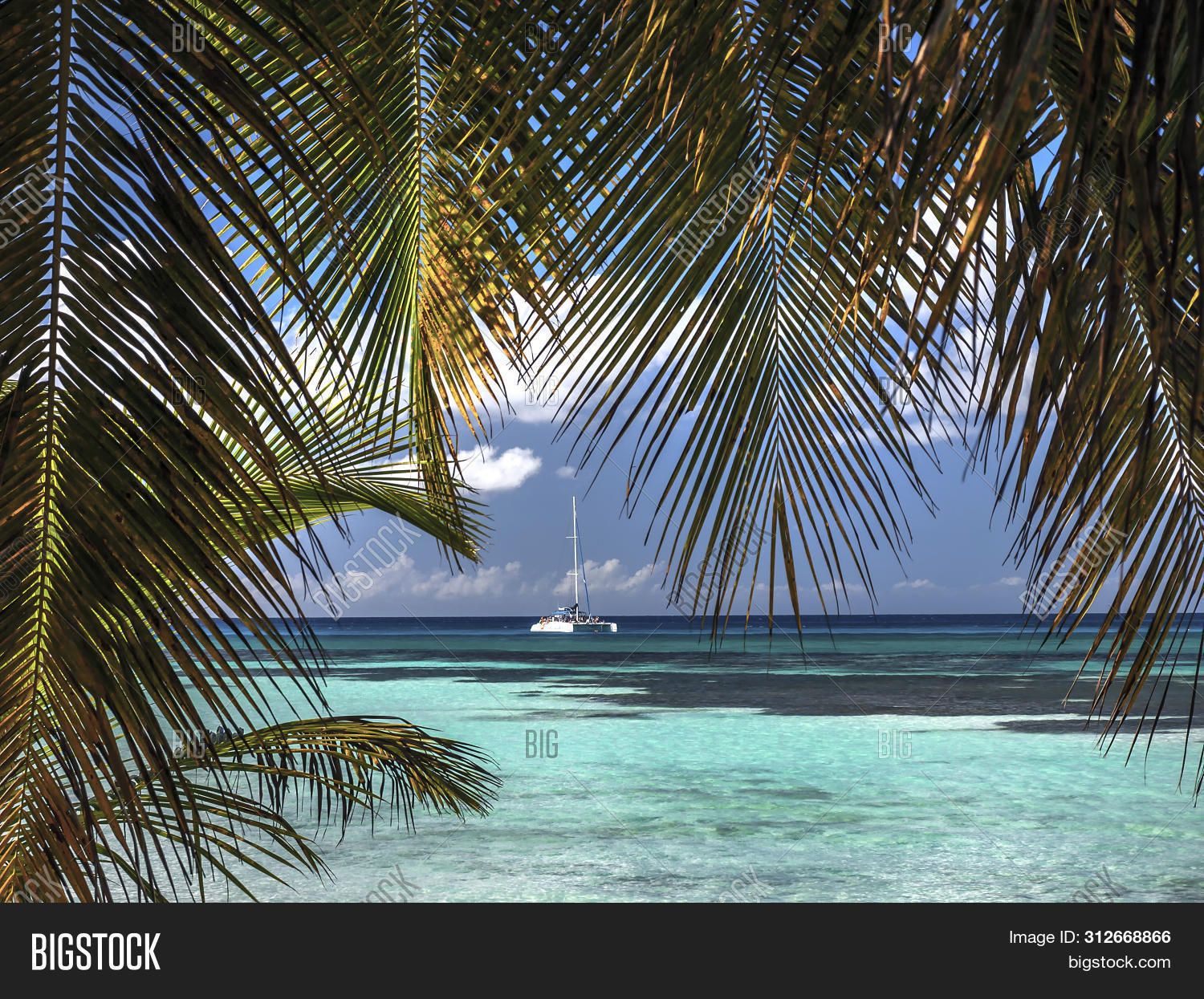 Relaxation Caribbean Image & Photo (Free Trial) | Bigstock