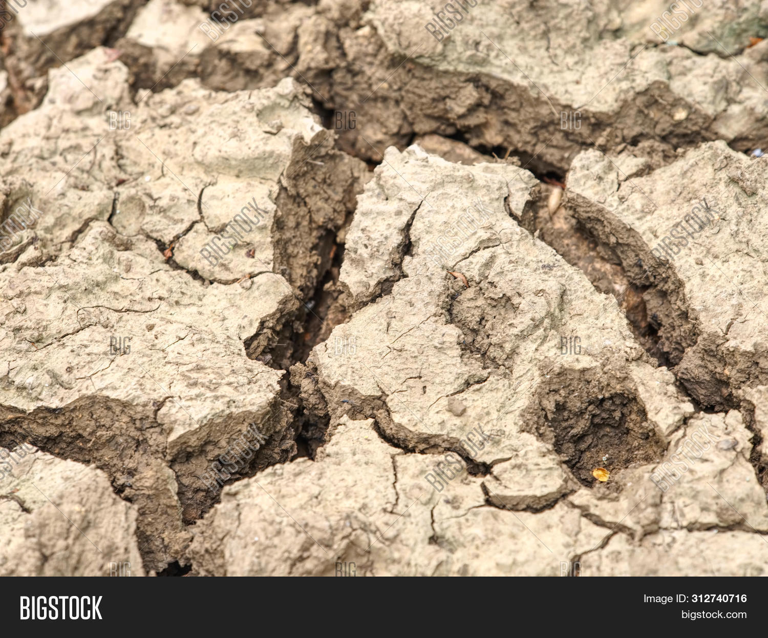 Cracks Salty Mud Above Image & Photo (Free Trial) | Bigstock