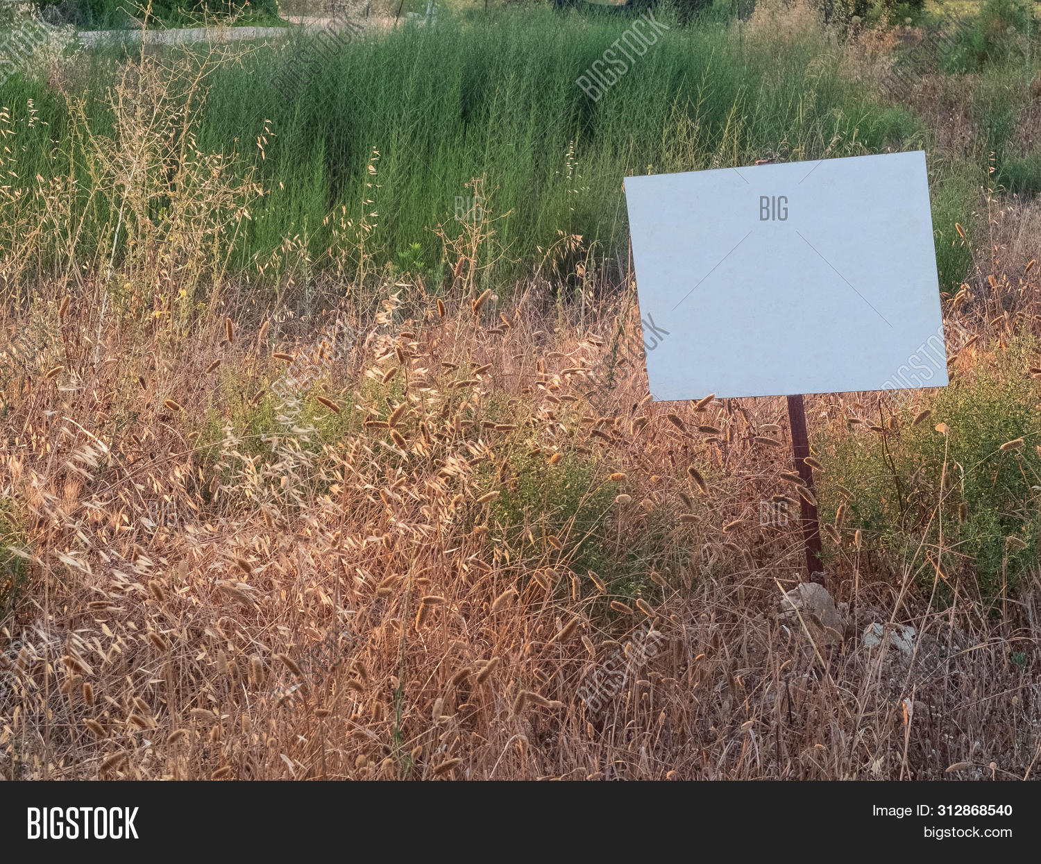Imagen y foto Weed-covered Field (prueba gratis) | Bigstock