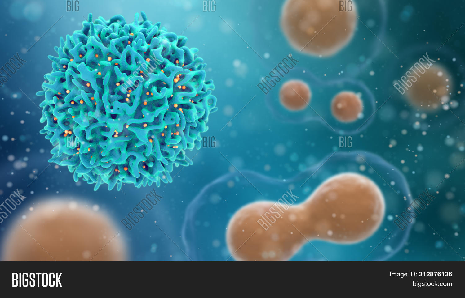 Medical Concept Cancer Image & Photo (Free Trial) | Bigstock