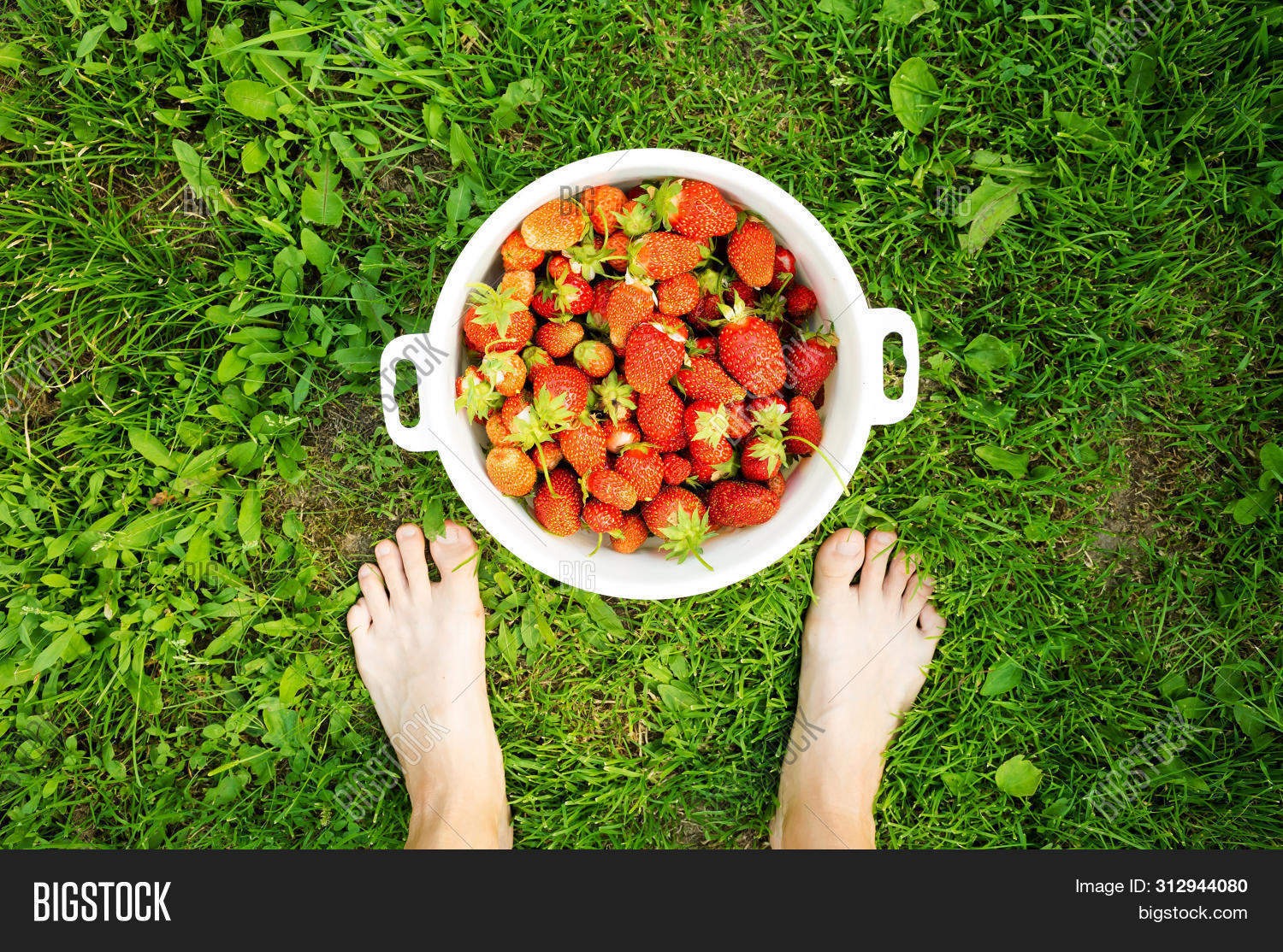 Strawberry White Round Image & Photo (Free Trial) | Bigstock