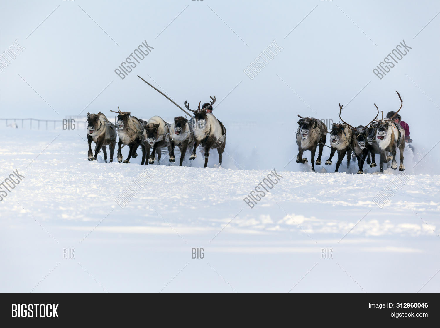 Nadym, Russia - Image & Photo (Free Trial) | Bigstock