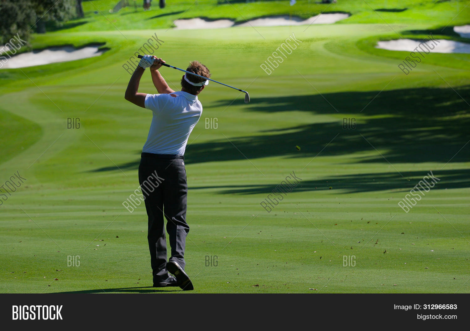 Man Golfer On Golf Image & Photo (Free Trial) | Bigstock