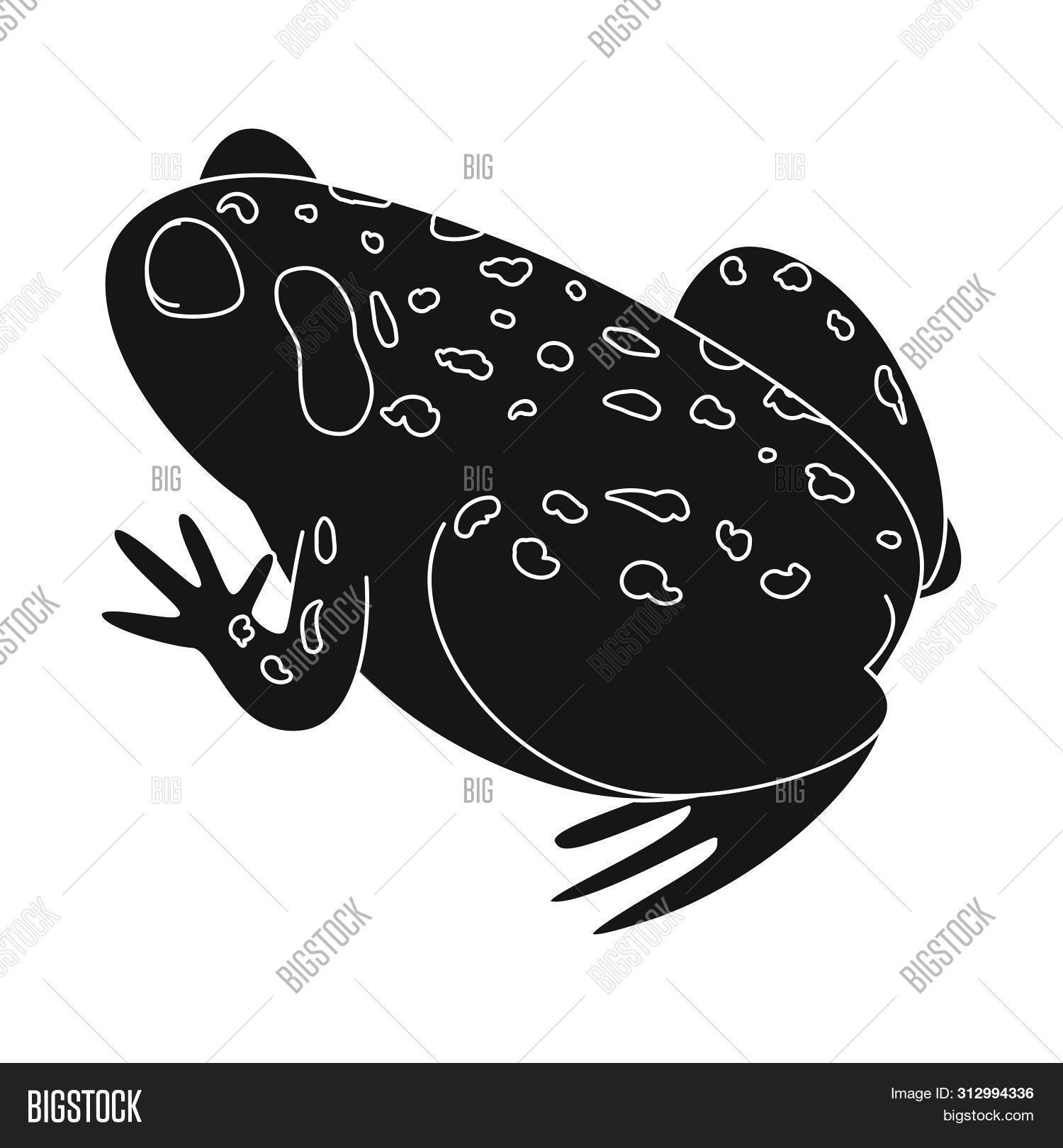 Bitmap Design Toad Image & Photo (Free Trial) | Bigstock